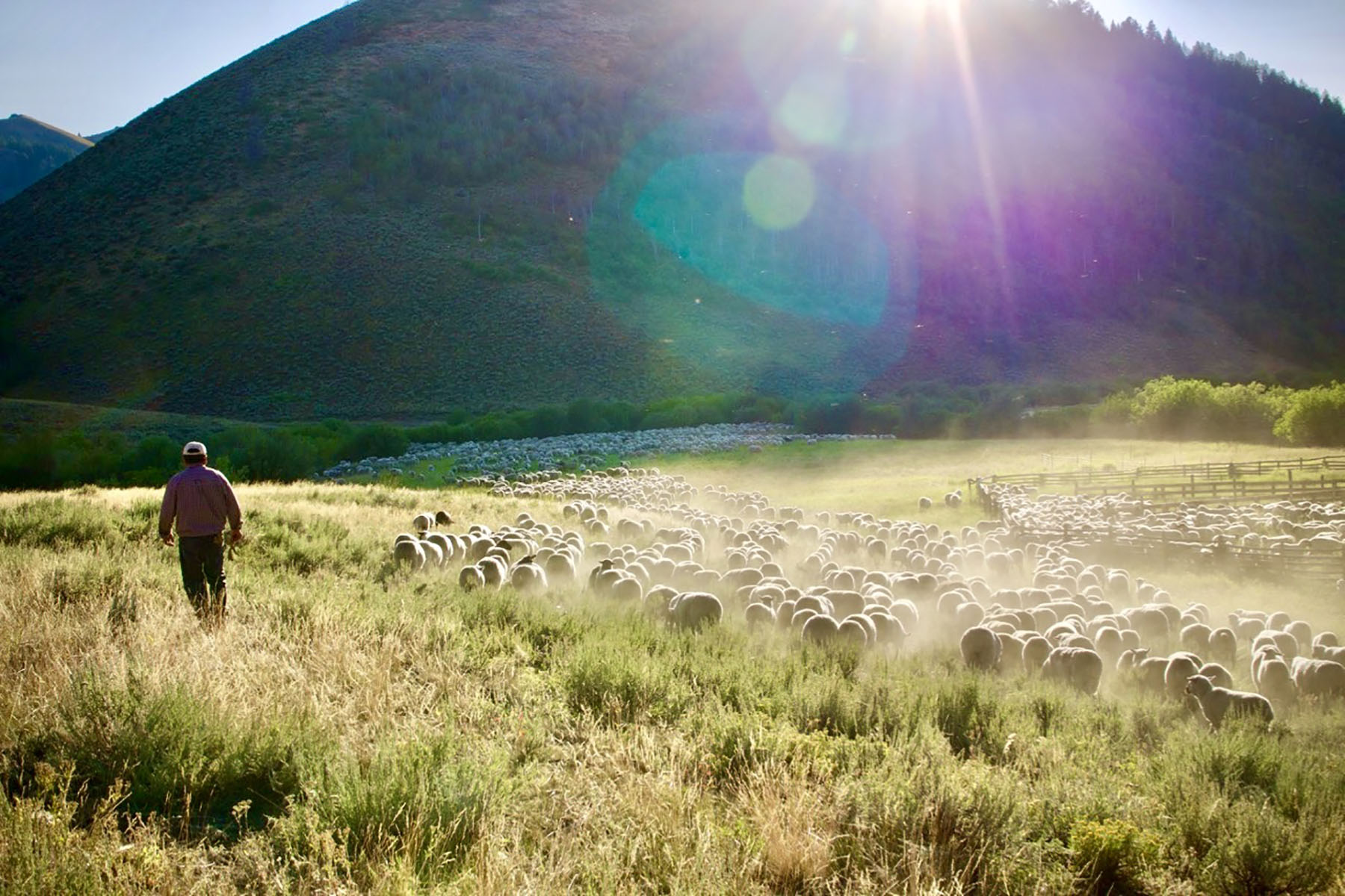 Lava Lake Ranch - Sold - Idaho - Hall and Hall