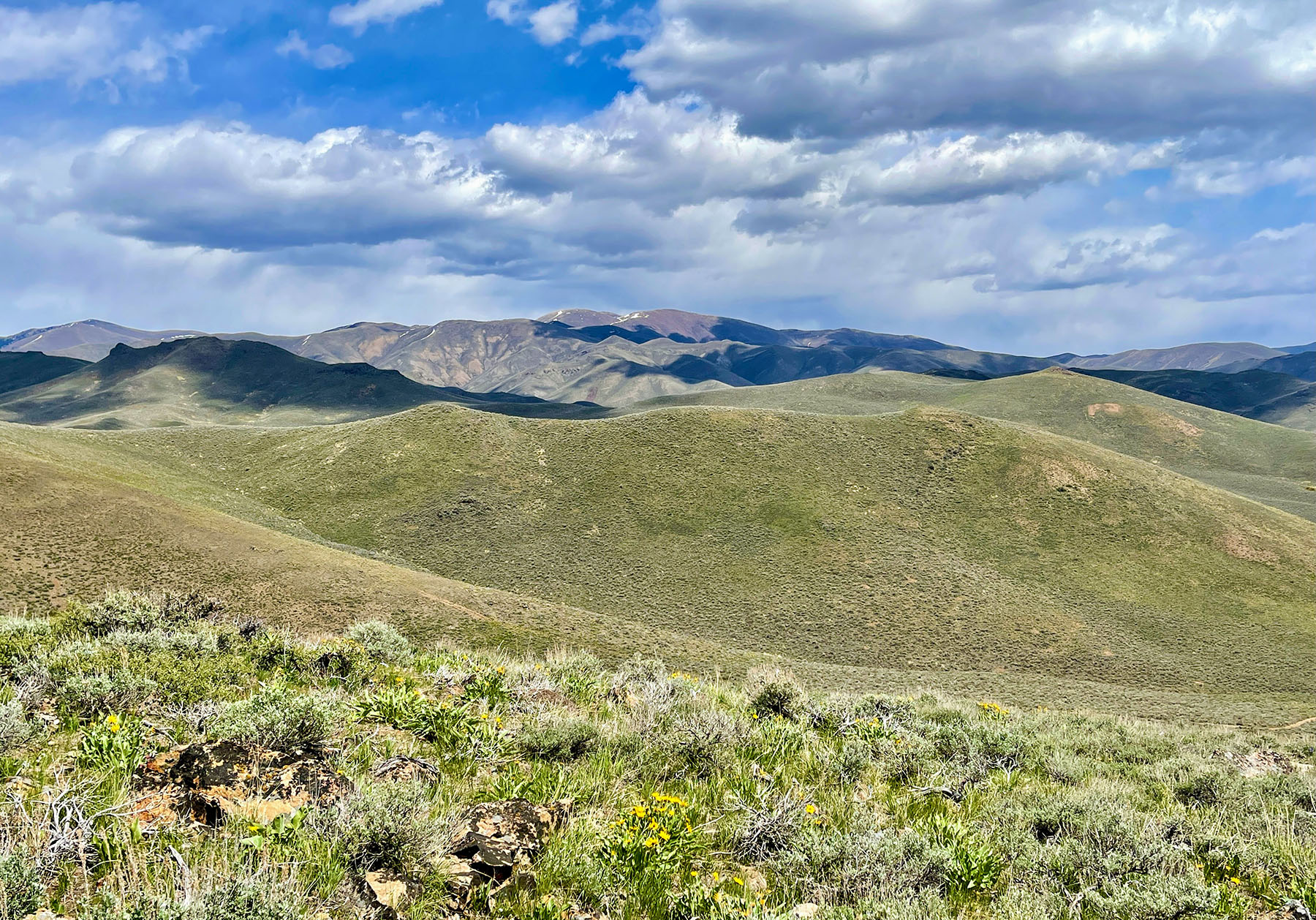 Lava Lake Ranch - Hall and Hall