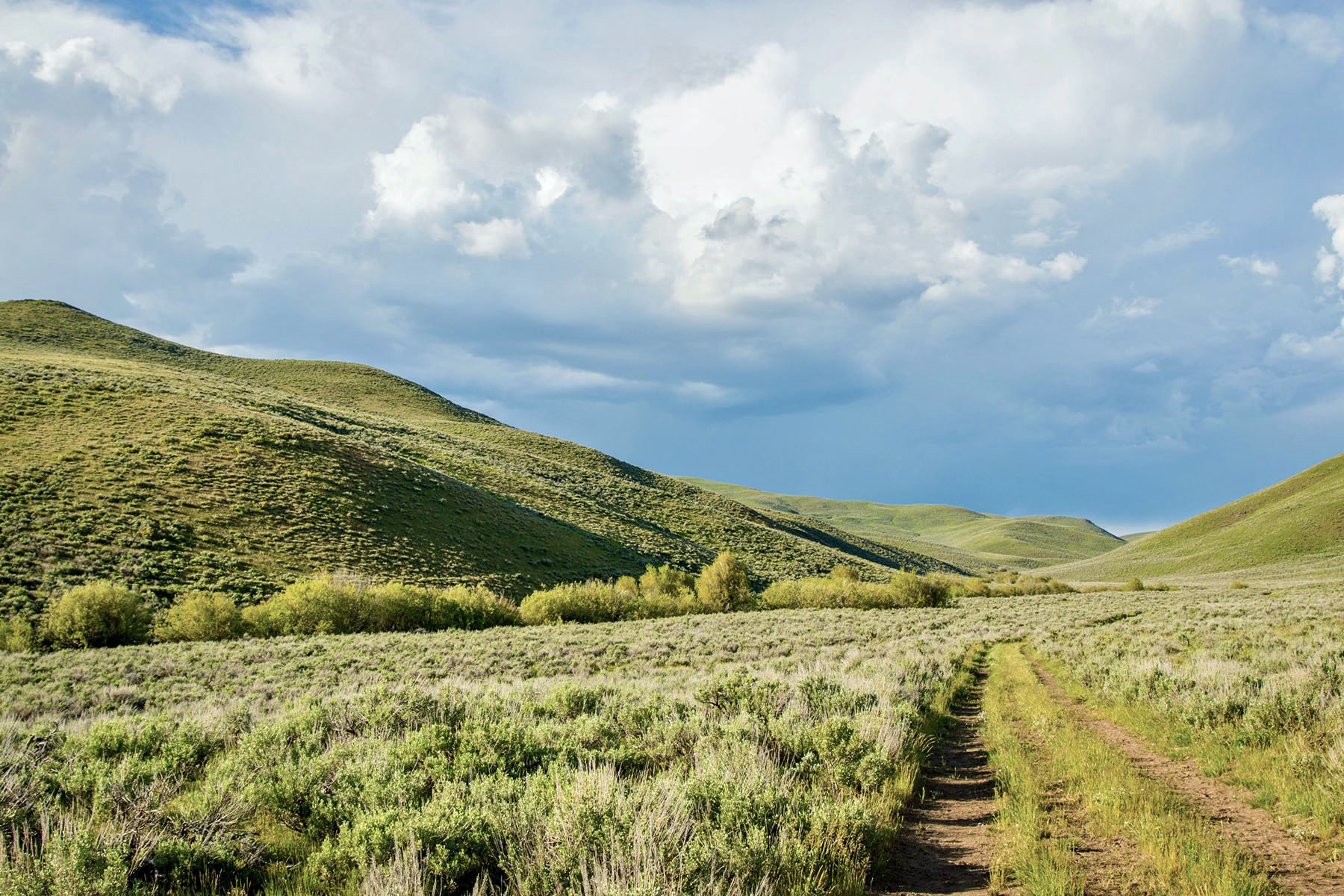 Lava Lake Ranch - Hall and Hall