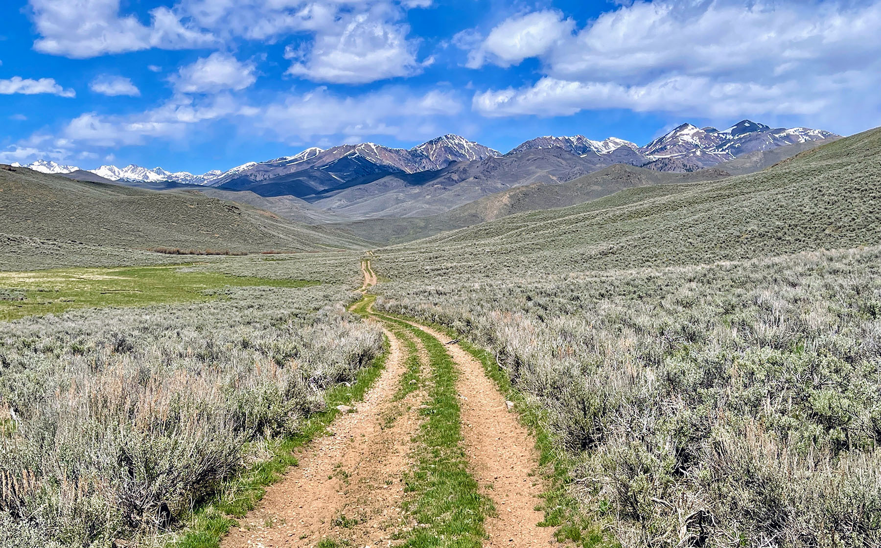 Lava Lake Ranch - Hall and Hall