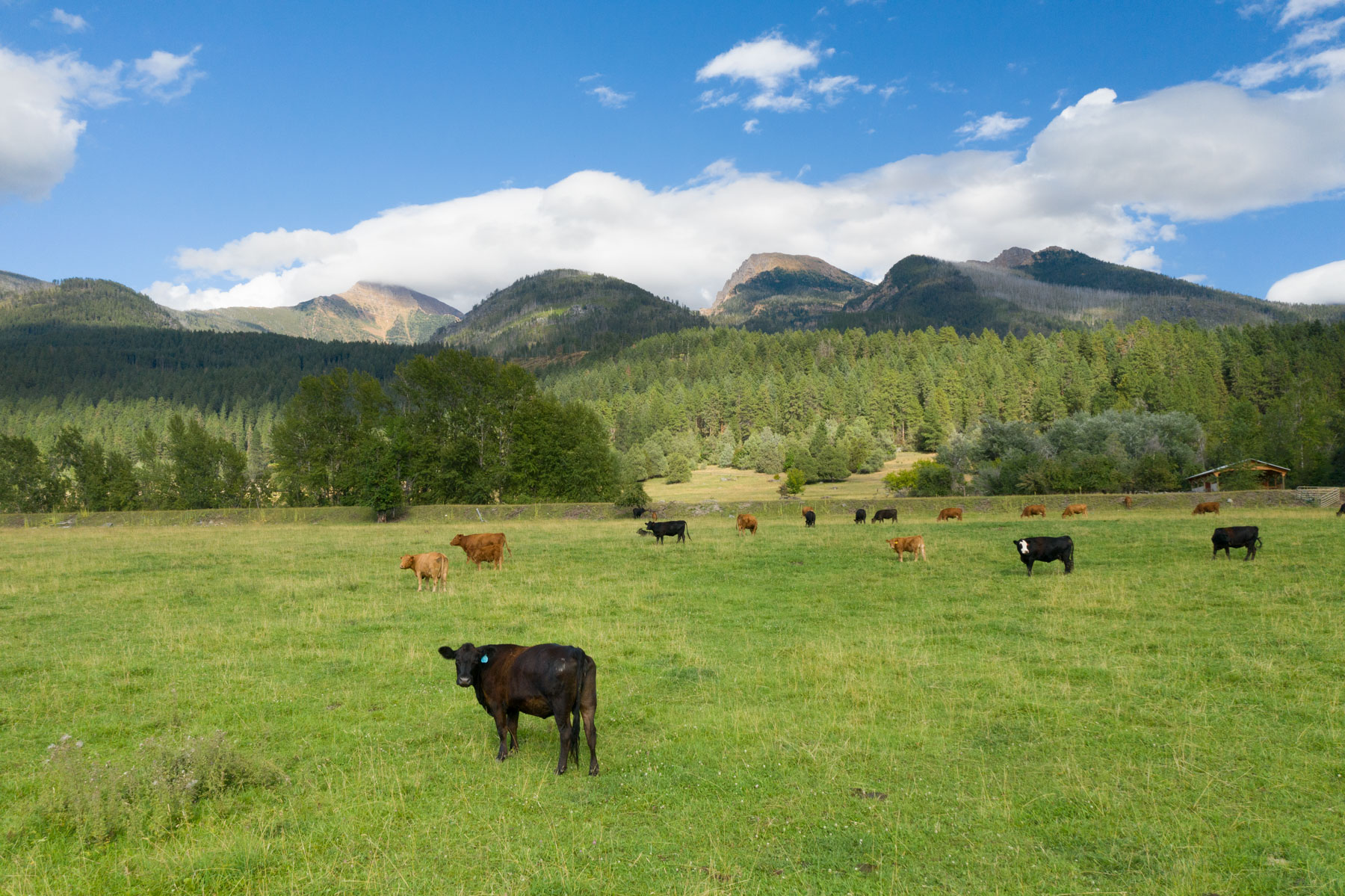 Pope Ranch - Sold - Montana - Hall and Hall