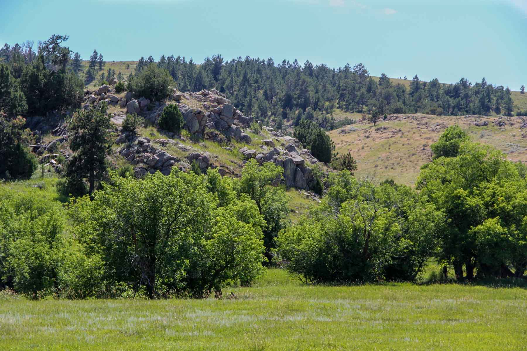 Denny Ranch - Sold - Wyoming - Hall and Hall