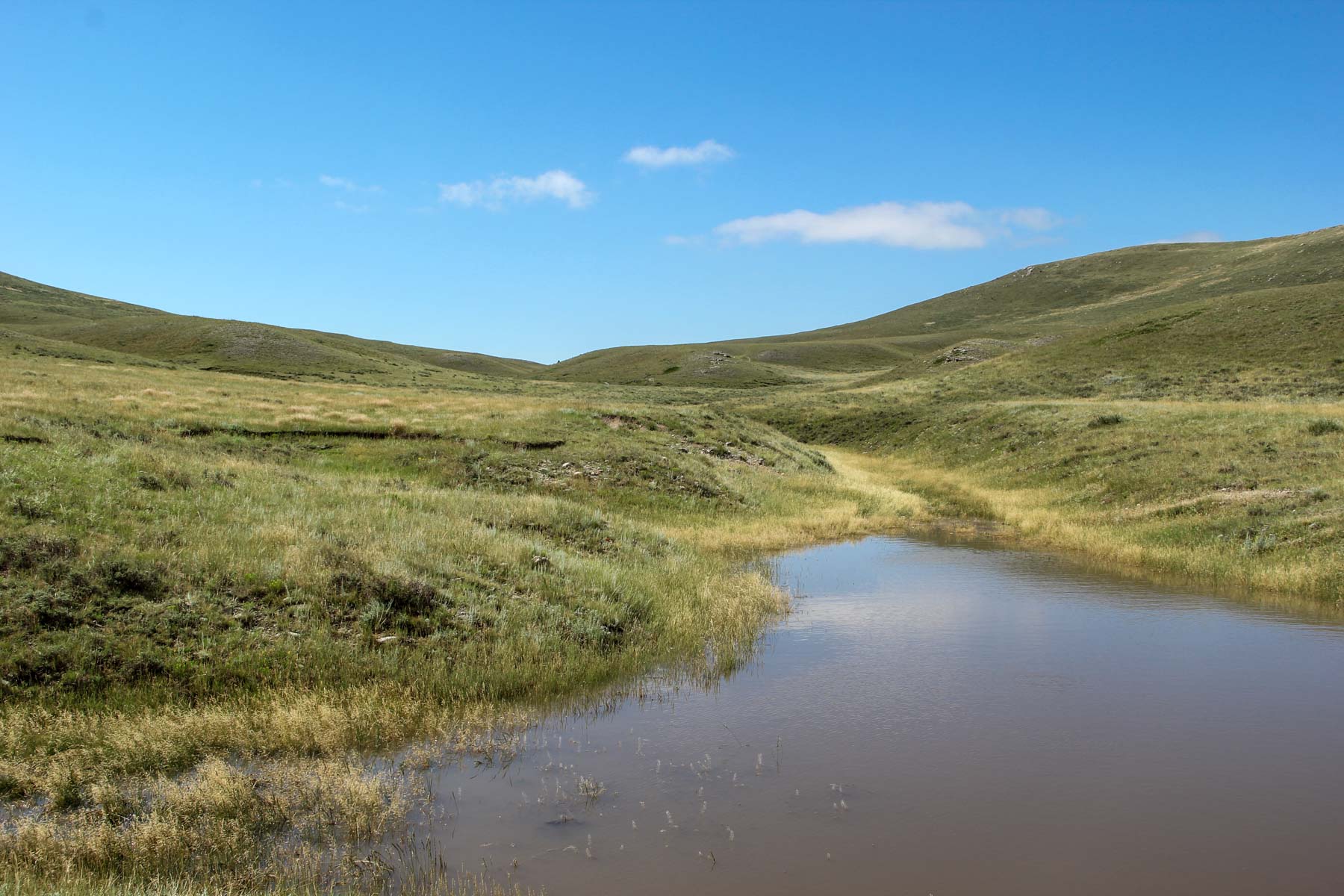 Denny Ranch - Sold - Wyoming - Hall and Hall