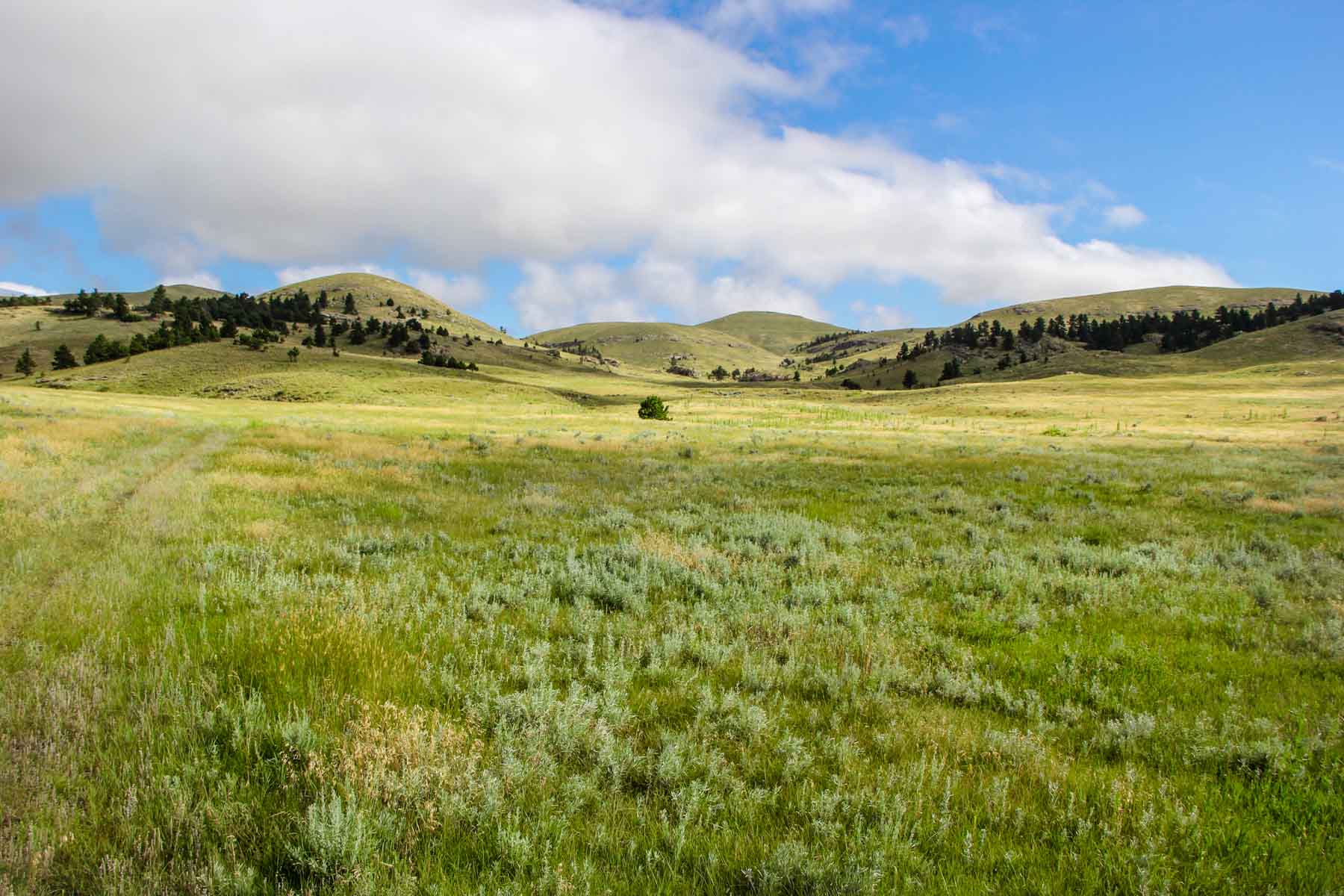 Denny Ranch - Sold - Wyoming - Hall and Hall