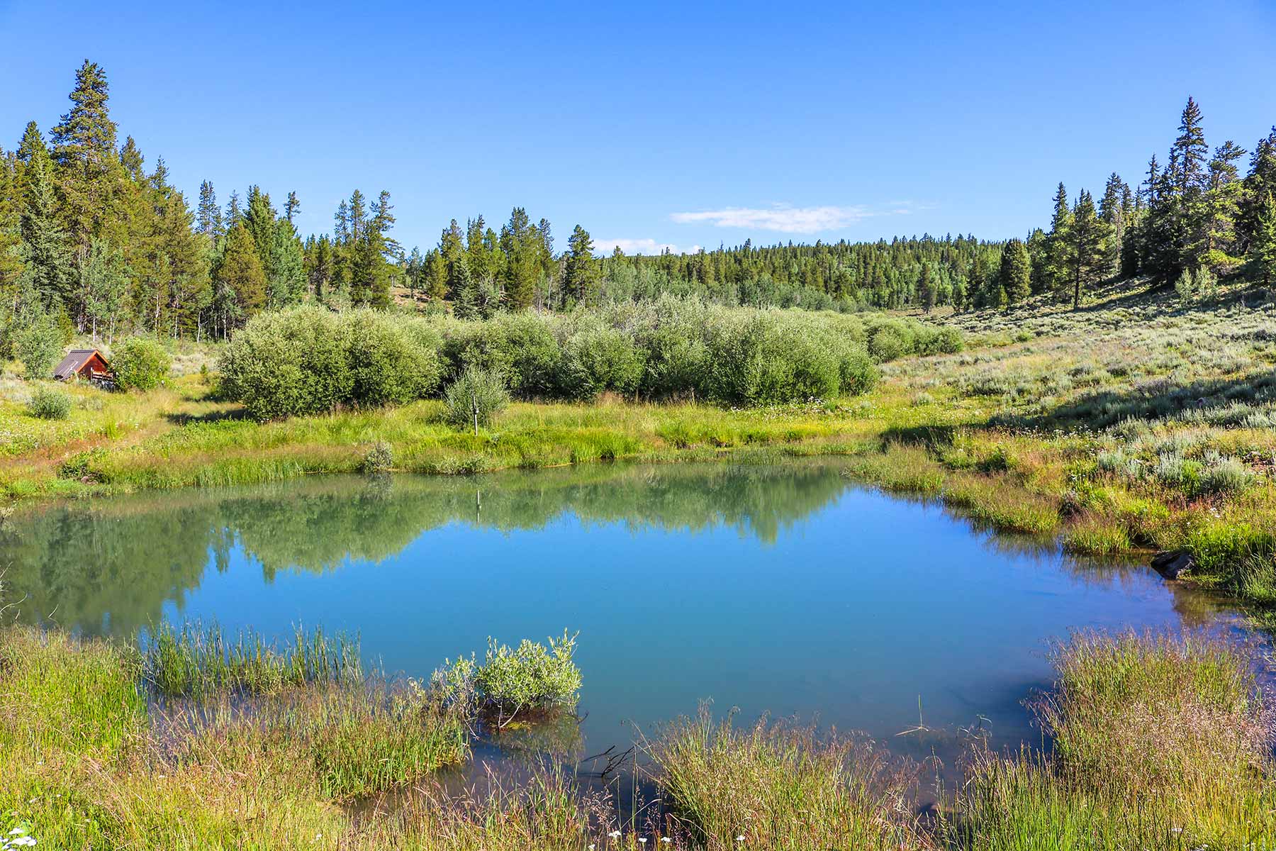 Powderhorn Ranch - Sold - Colorado - Hall and Hall