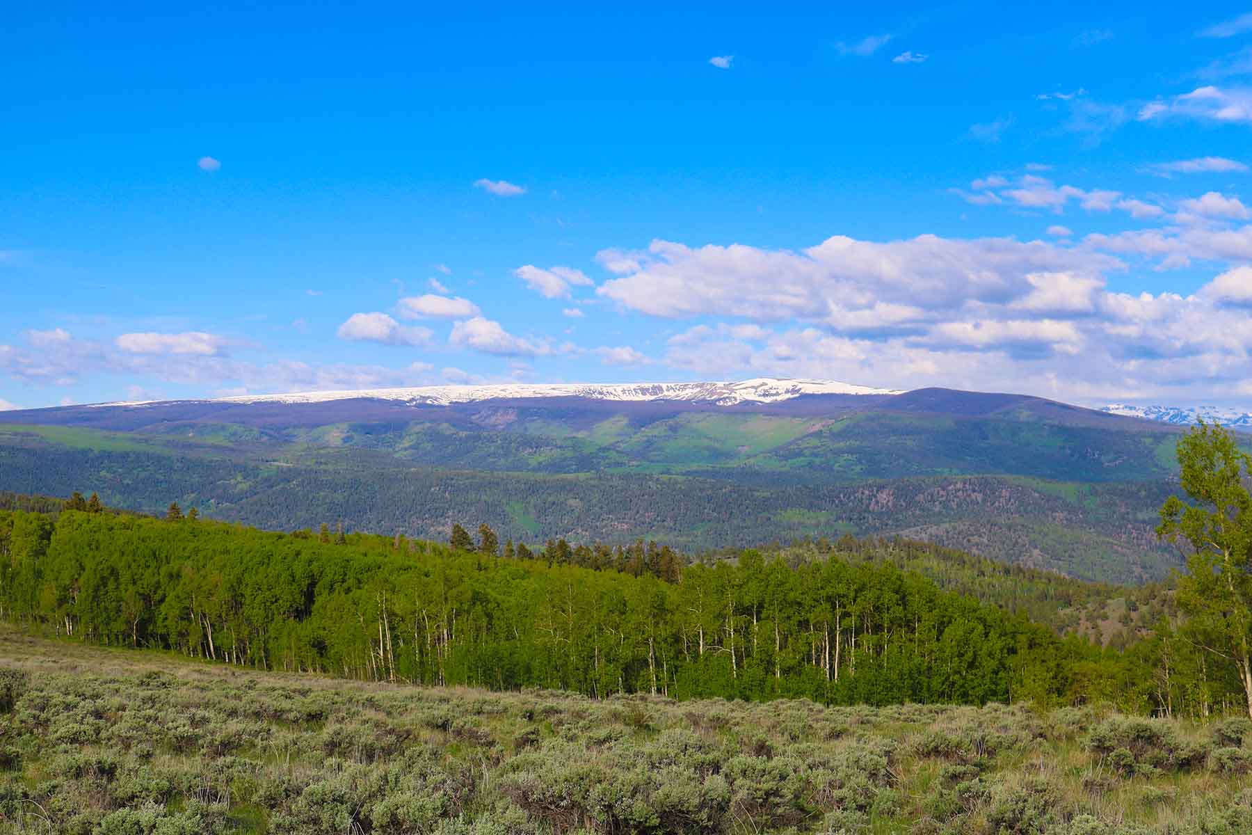 Powderhorn Ranch - Sold - Colorado - Hall and Hall