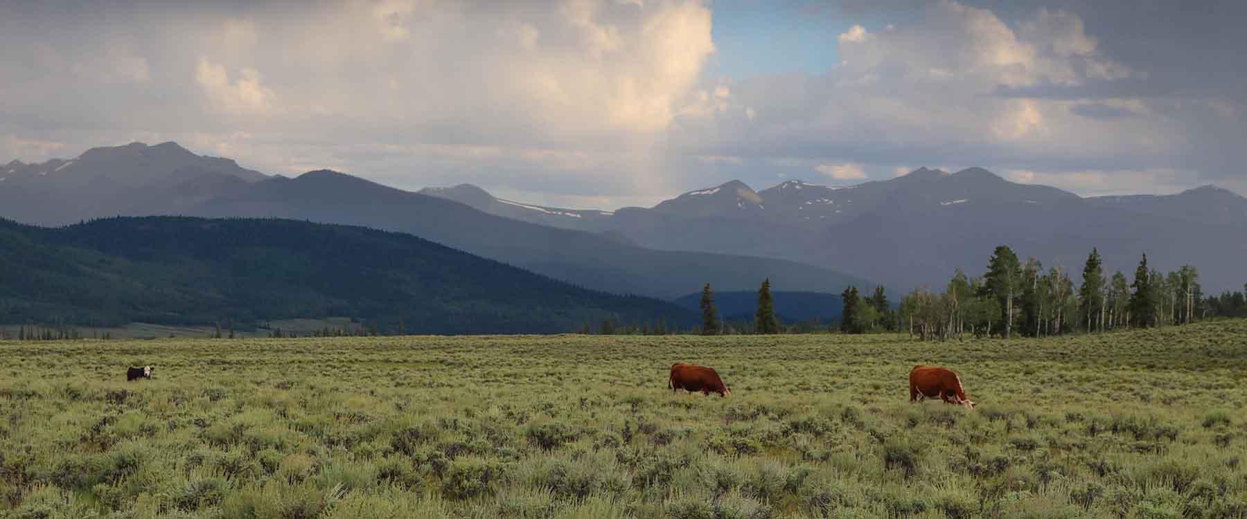 Powderhorn Ranch - Sold - Colorado - Hall and Hall