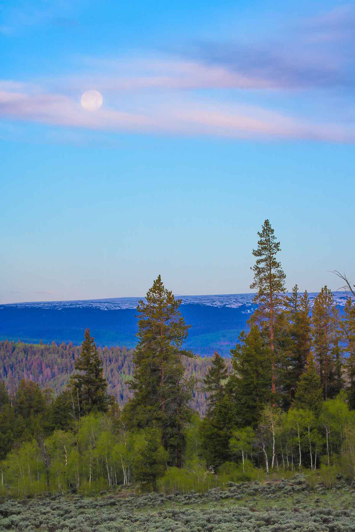 Powderhorn Ranch - Sold - Colorado - Hall and Hall
