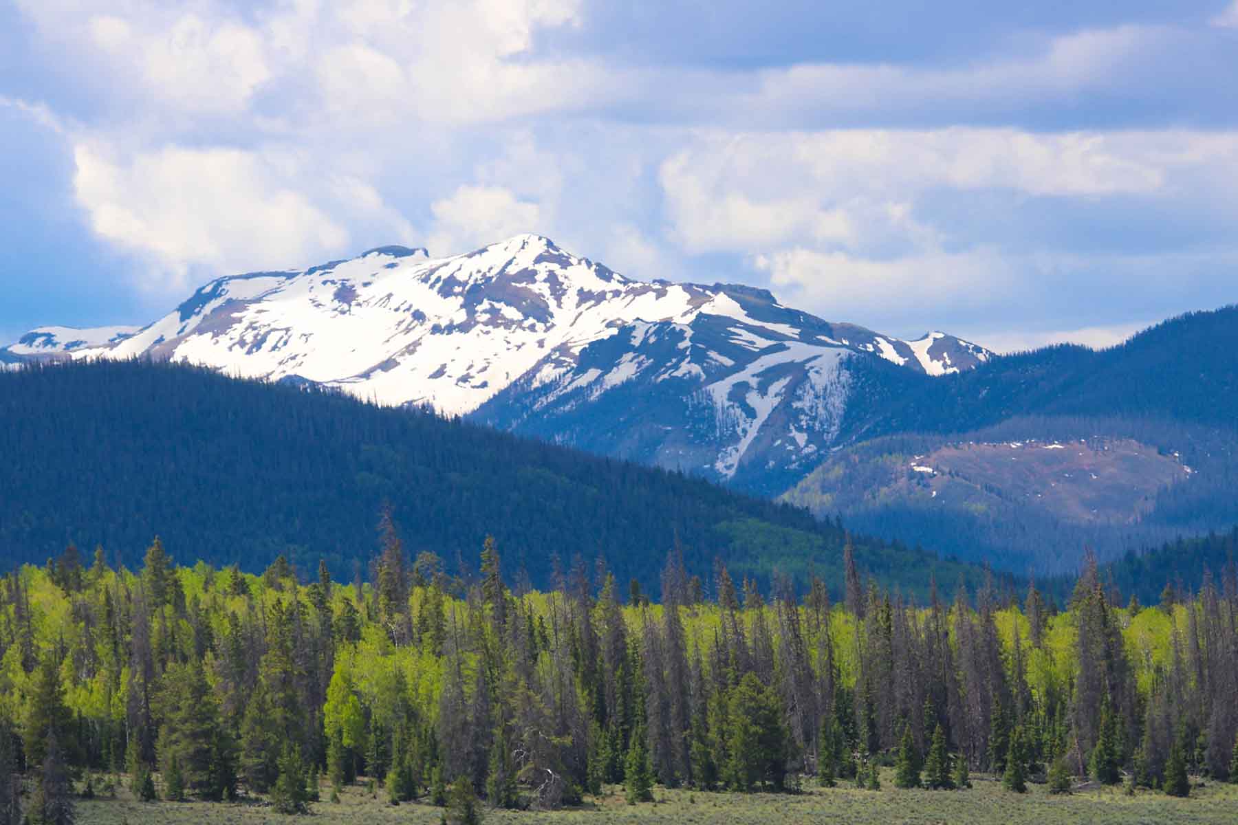 Powderhorn Ranch - Sold - Colorado - Hall and Hall