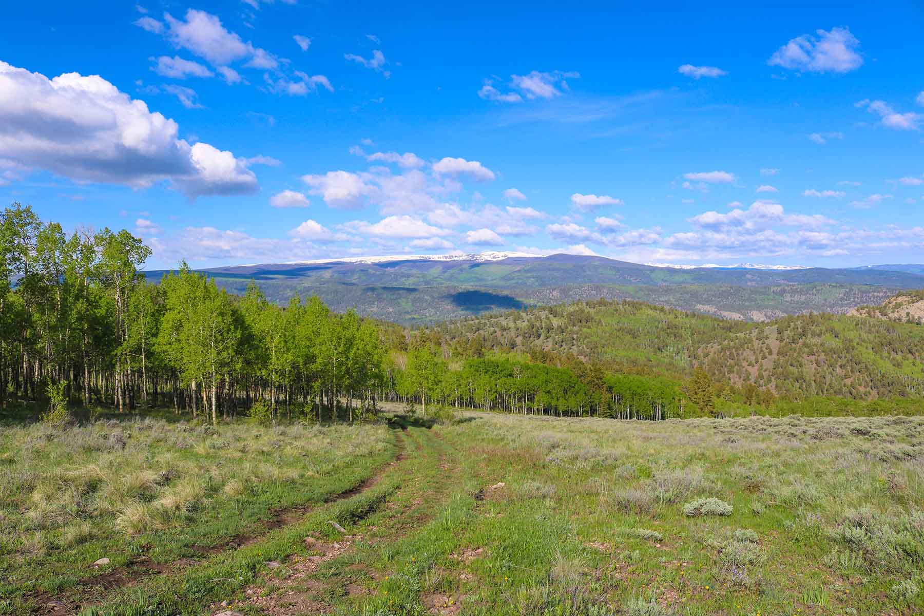 Powderhorn Ranch - Sold - Colorado - Hall and Hall