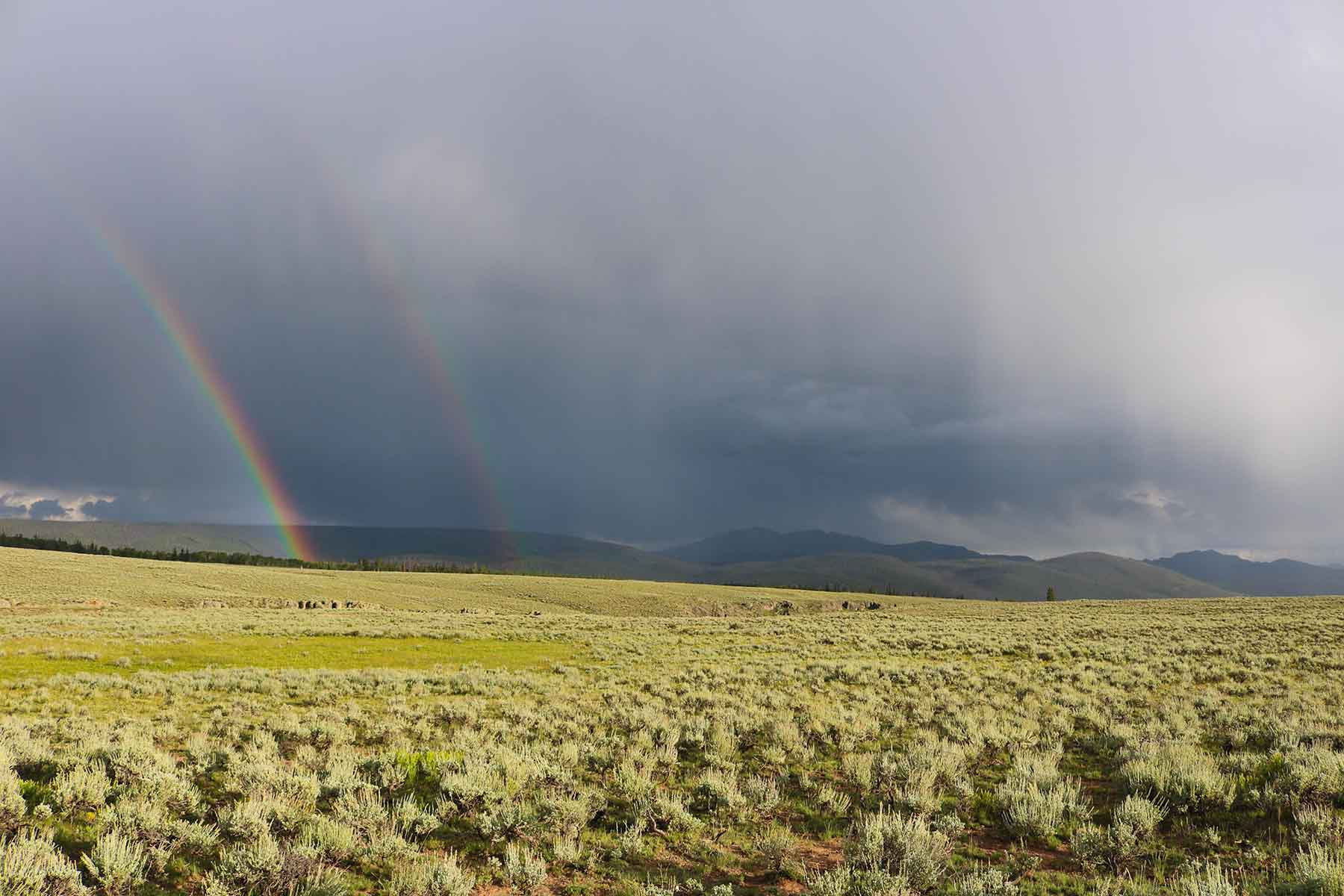 Powderhorn Ranch - Sold - Colorado - Hall and Hall