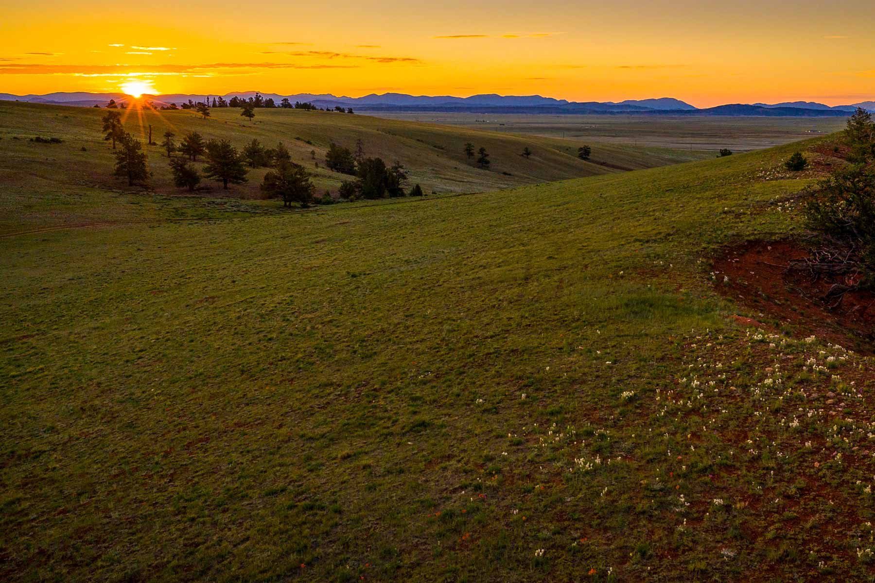 Winding River Ranch - Sold - Colorado - Hall and Hall