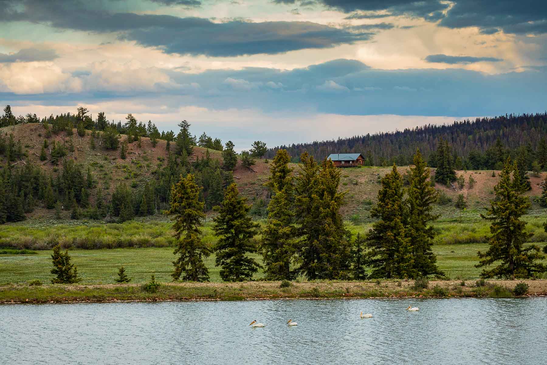 Winding River Ranch - Sold - Colorado - Hall and Hall