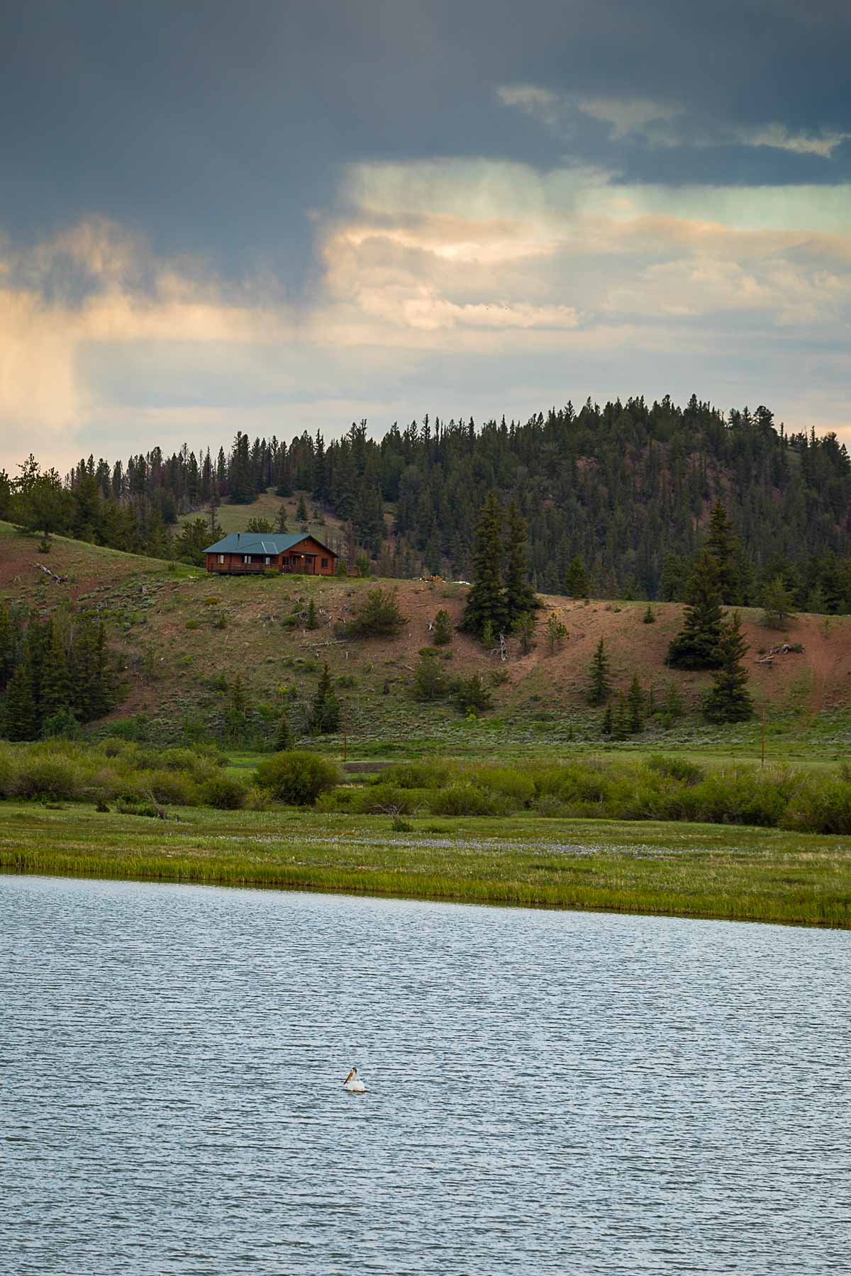 Winding River Ranch - Sold - Colorado - Hall and Hall