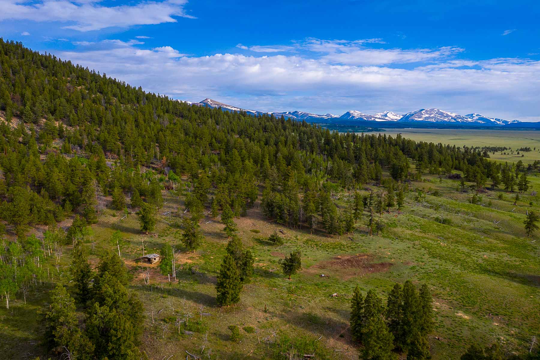 Winding River Ranch - Sold - Colorado - Hall and Hall