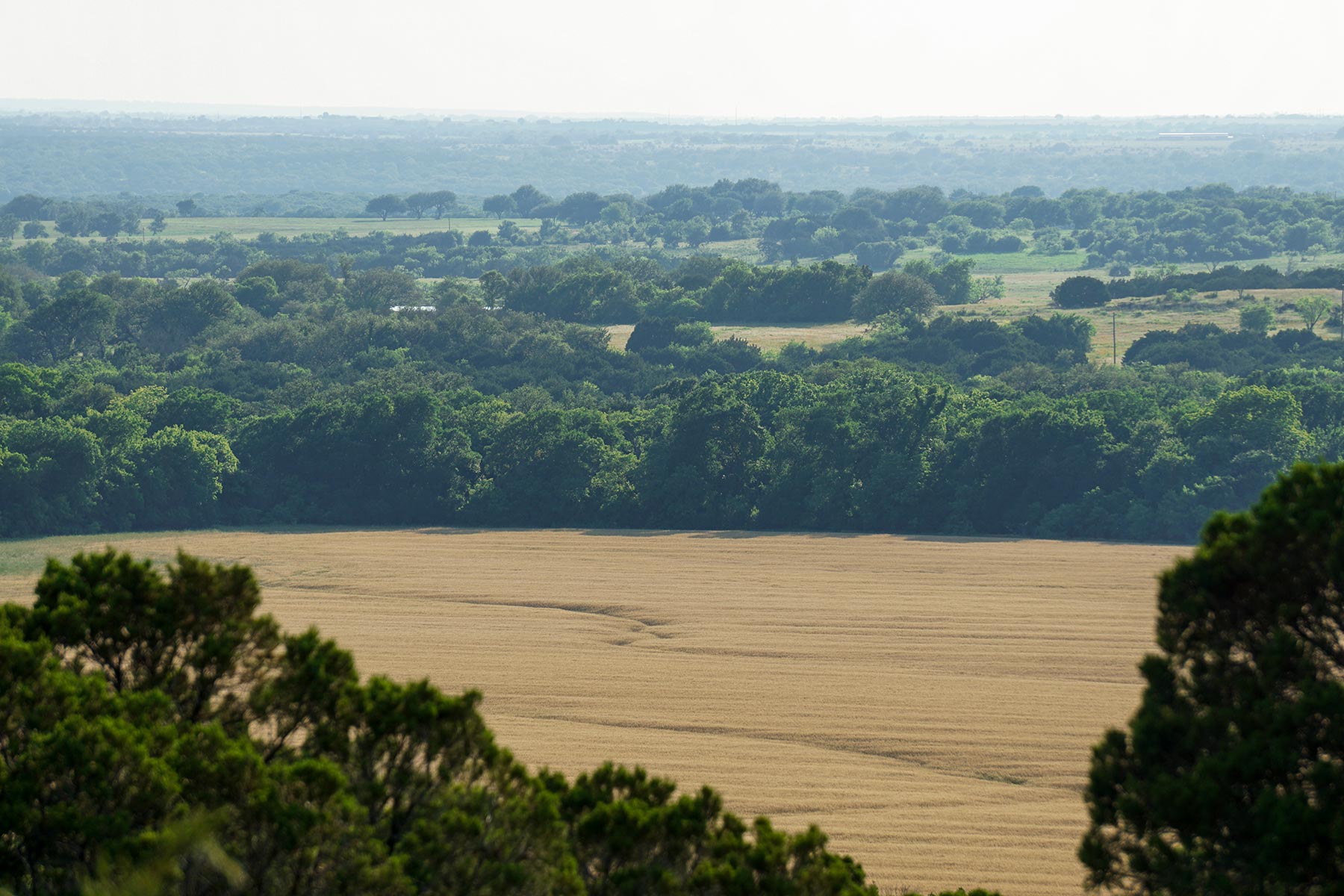 JS Ranch - Sold - Texas - Hall and Hall