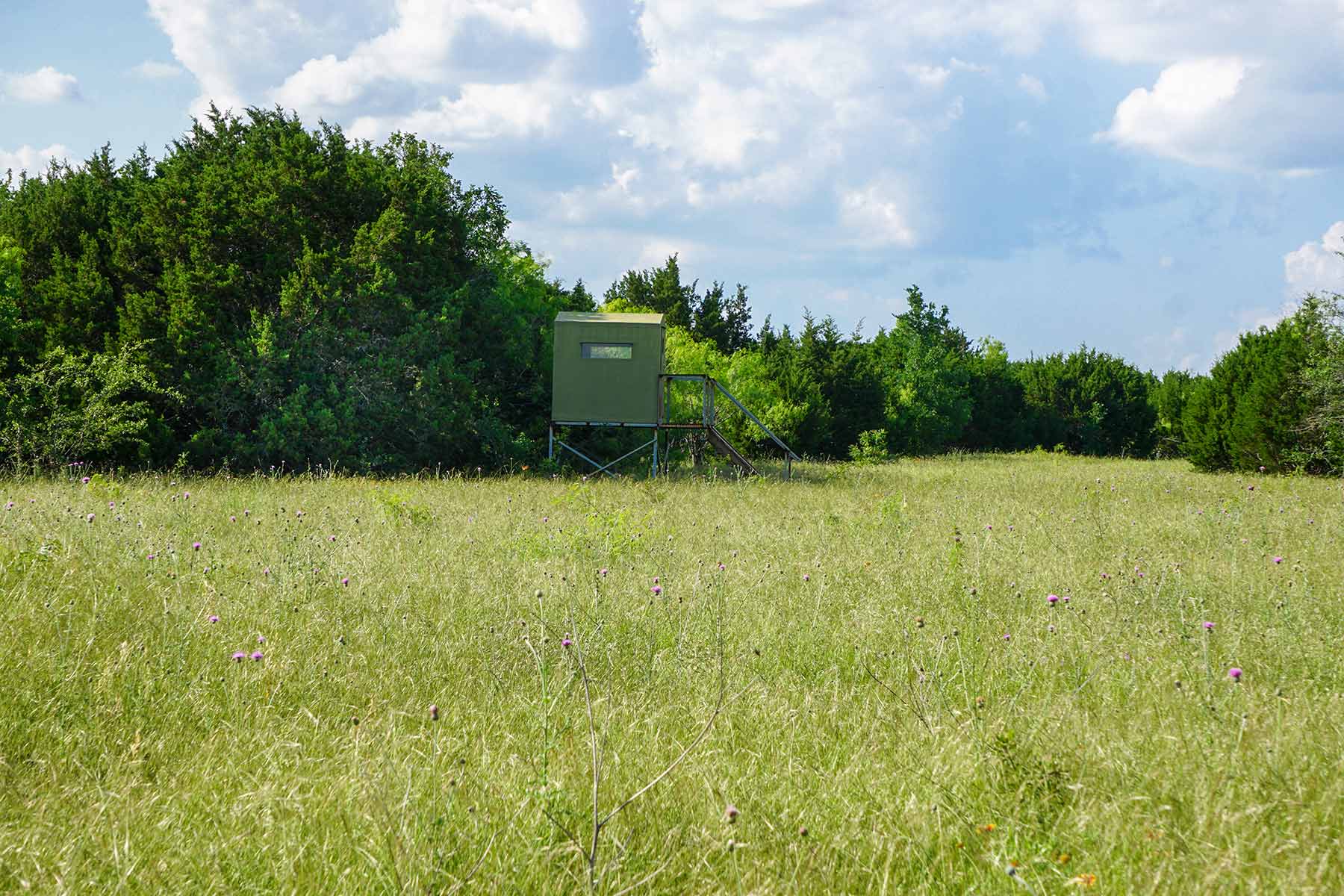 JS Ranch - Sold - Texas - Hall and Hall