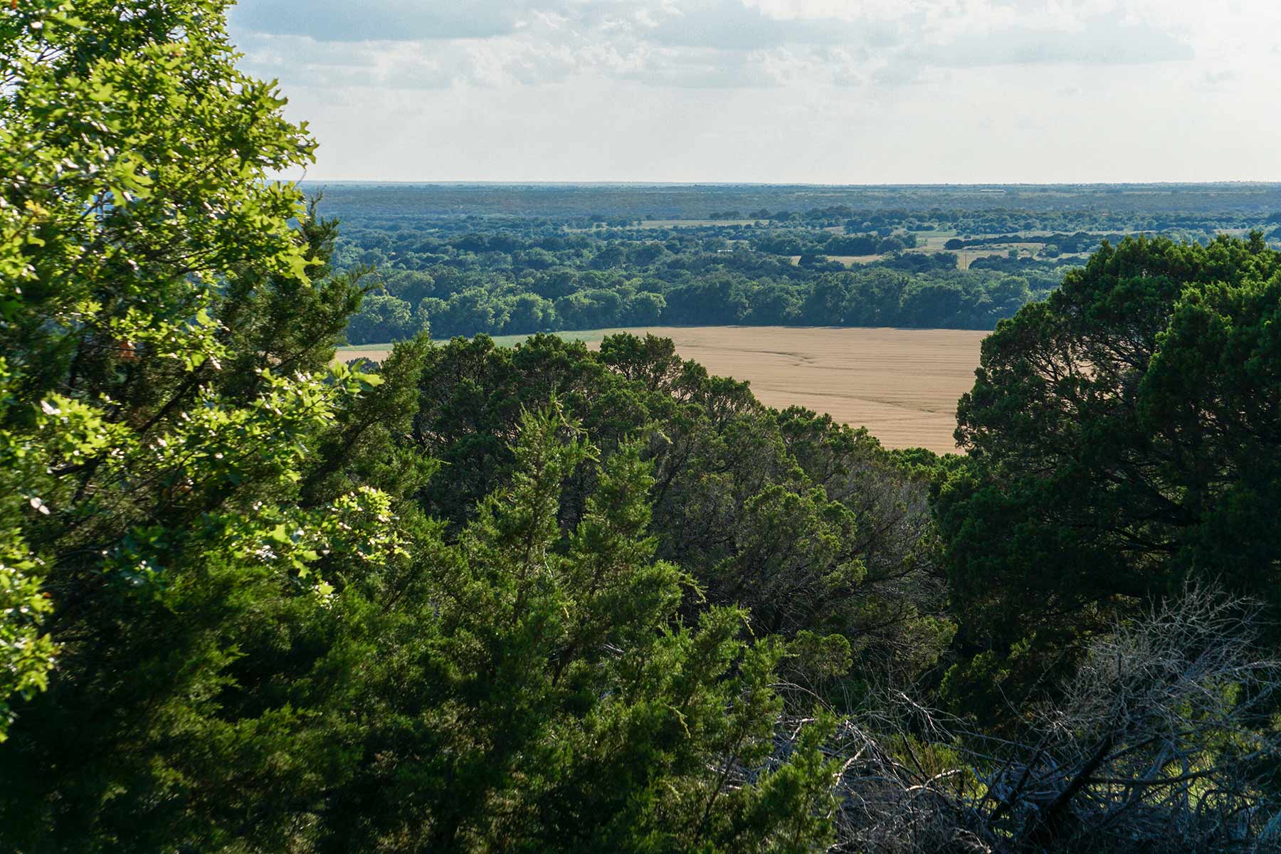JS Ranch - Sold - Texas - Hall and Hall