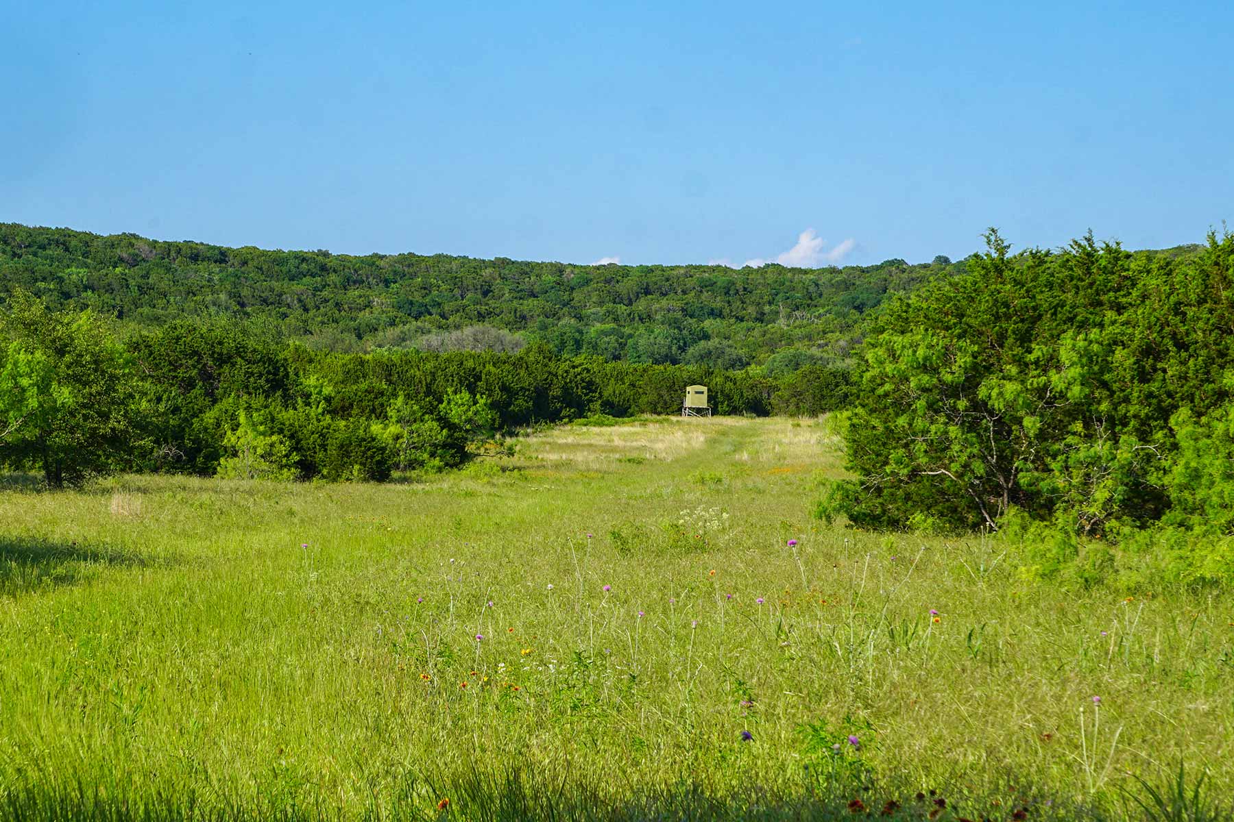 JS Ranch - Sold - Texas - Hall and Hall