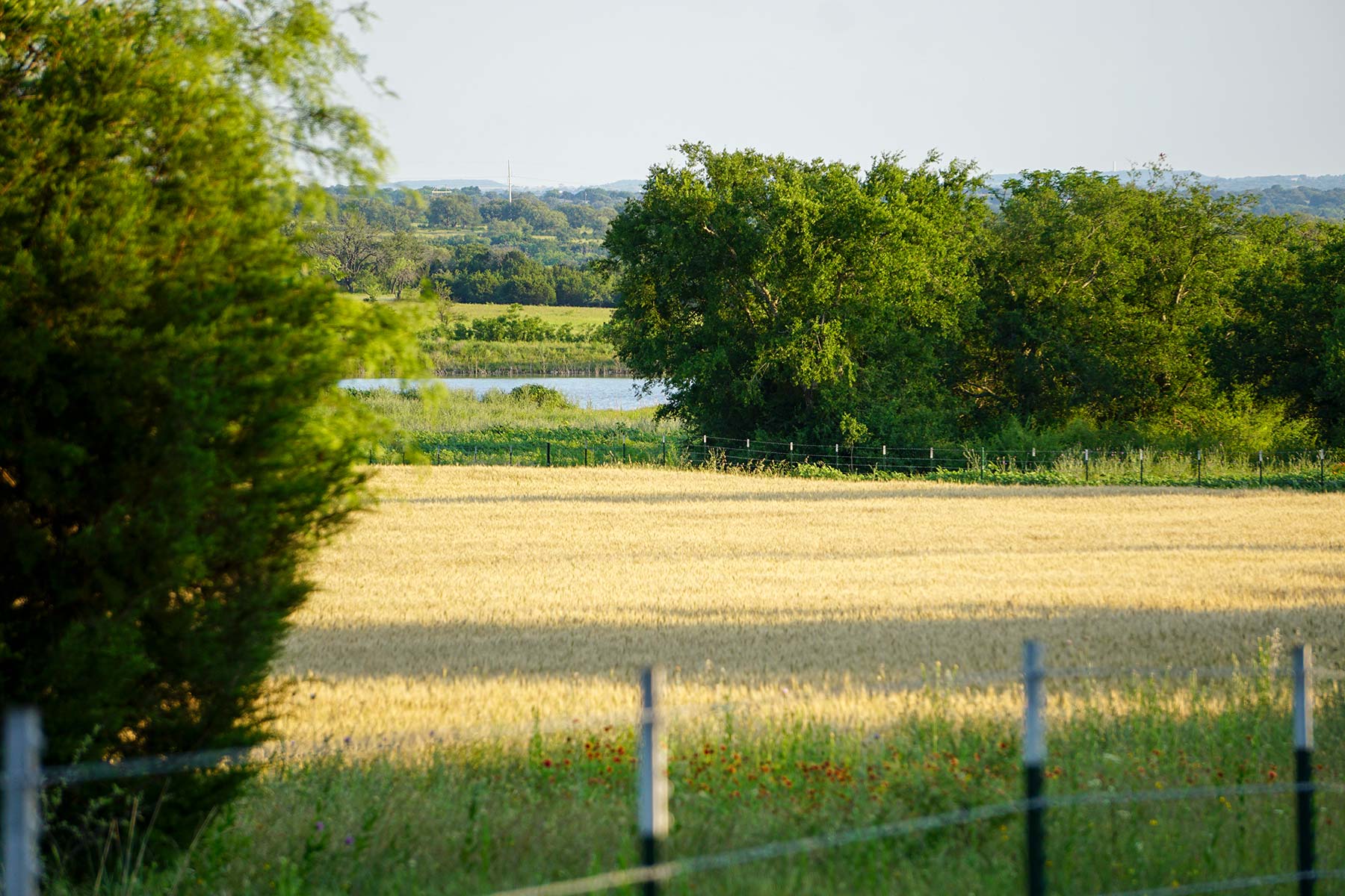 JS Ranch - Sold - Texas - Hall and Hall
