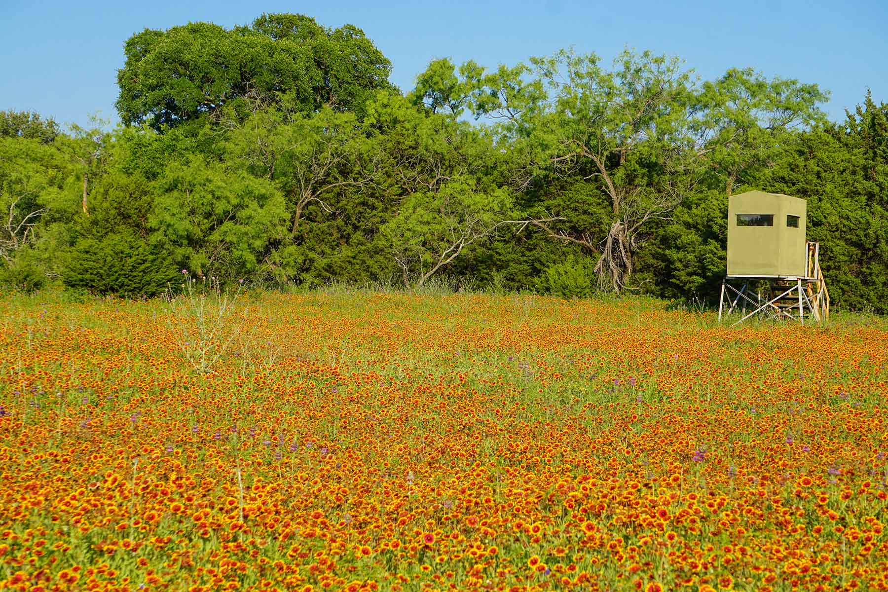 JS Ranch - Sold - Texas - Hall and Hall