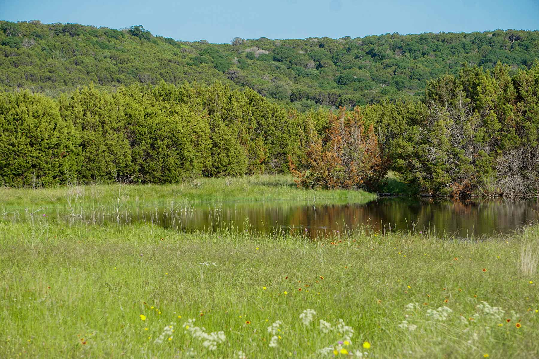 JS Ranch - Sold - Texas - Hall and Hall