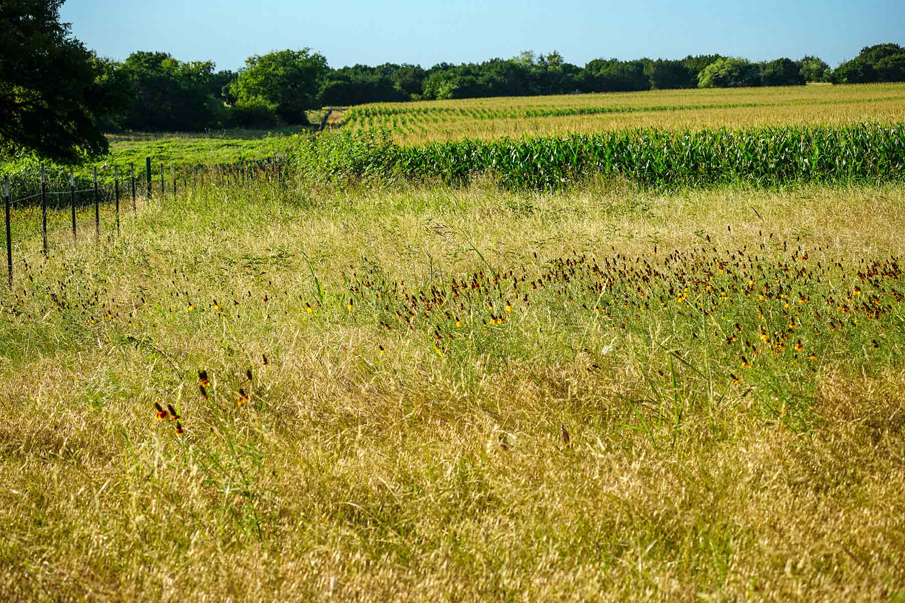 JS Ranch - Sold - Texas - Hall and Hall