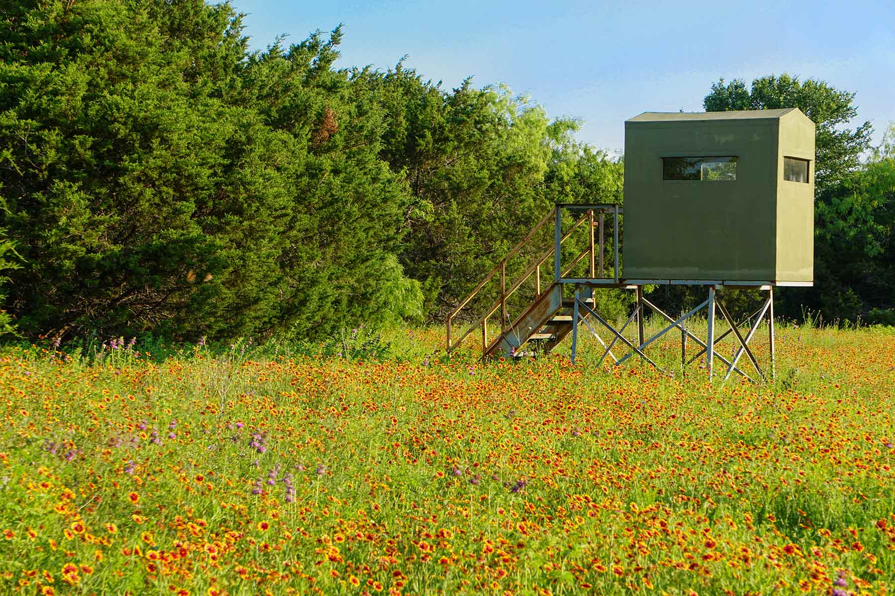 JS Ranch - Sold - Texas - Hall and Hall