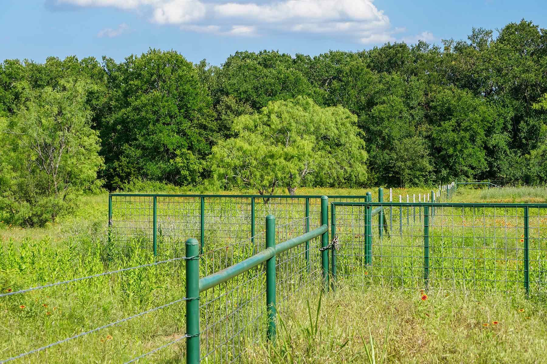 JS Ranch - Sold - Texas - Hall and Hall