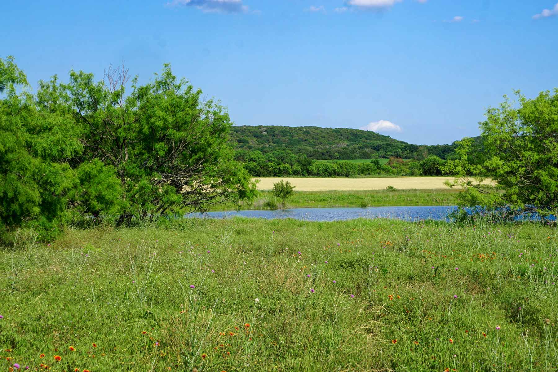 JS Ranch - Sold - Texas - Hall and Hall