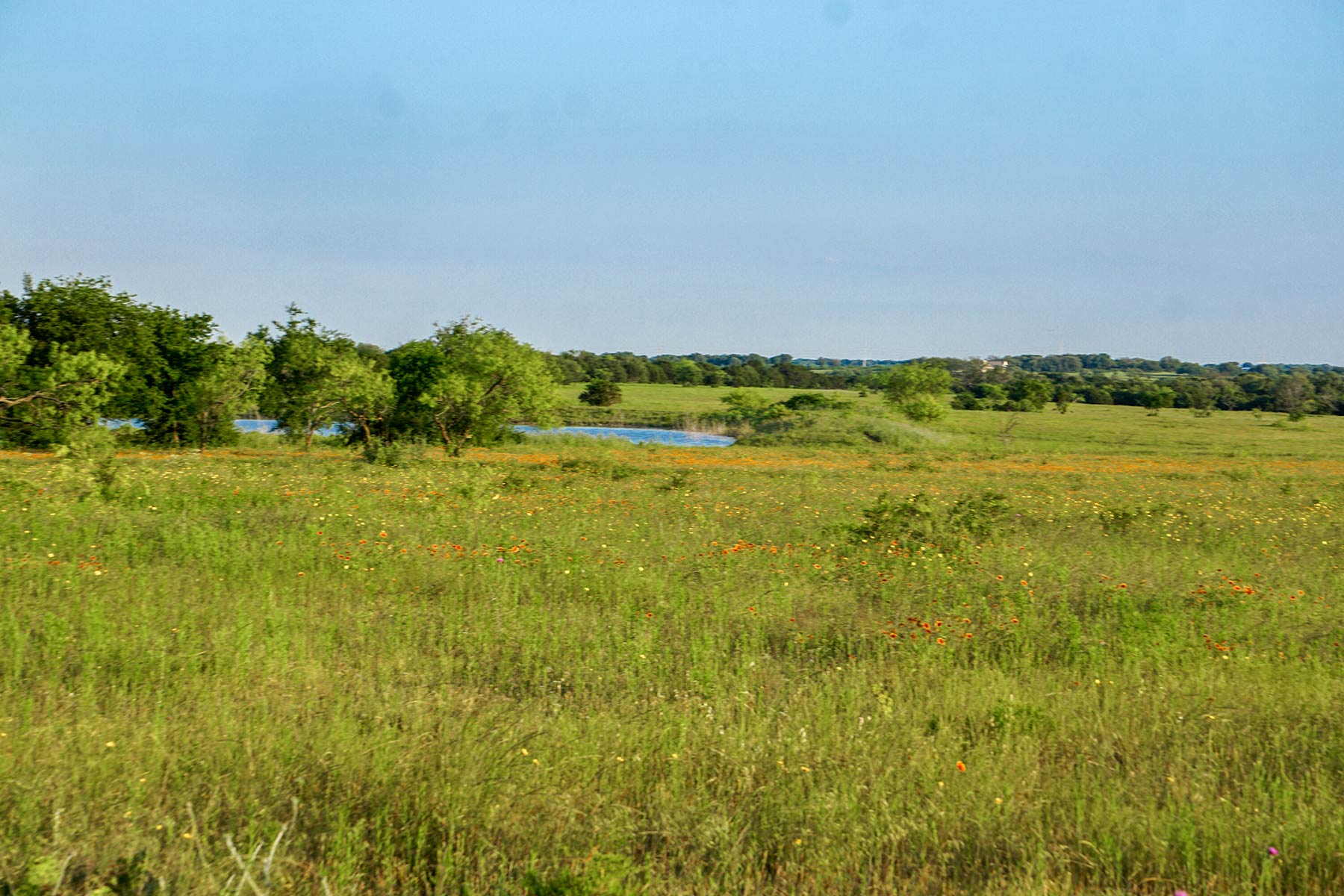 JS Ranch - Sold - Texas - Hall and Hall