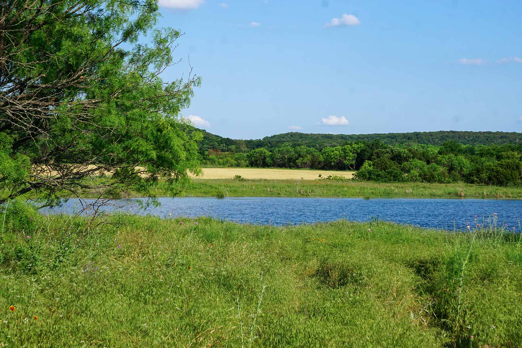 JS Ranch - Sold - Texas - Hall and Hall