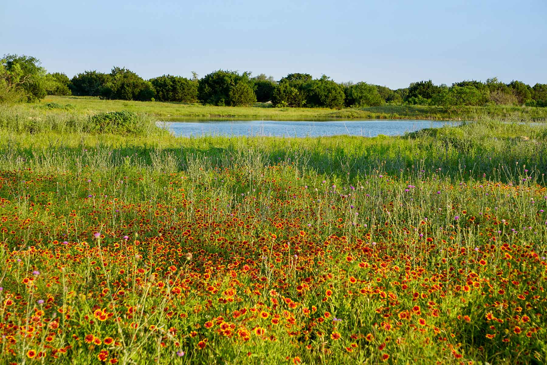 JS Ranch - Sold - Texas - Hall and Hall