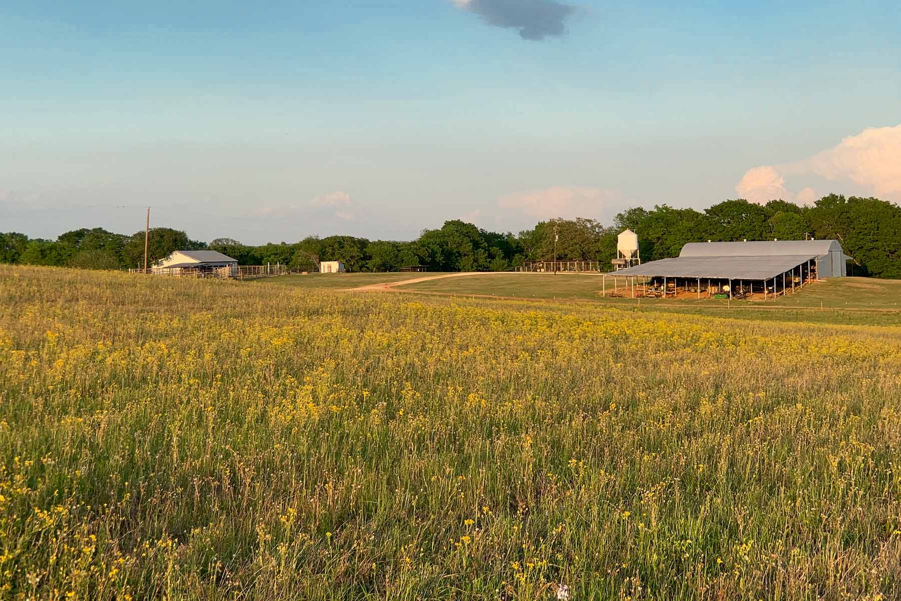 Rainbolt Ranch - Sold - Texas - Hall and Hall