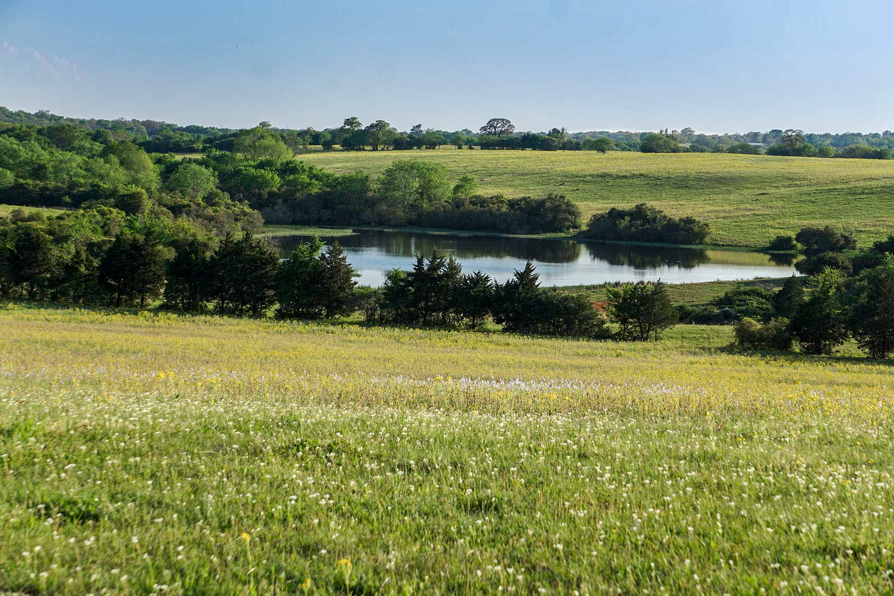 Rainbolt Ranch - Sold - Texas - Hall and Hall