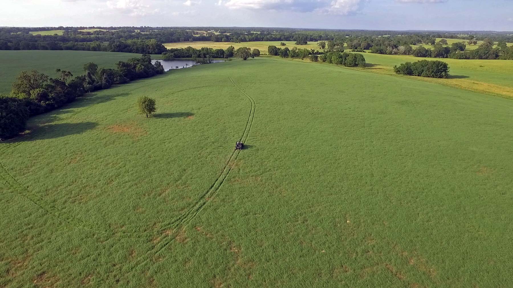 Rainbolt Ranch - Sold - Texas - Hall and Hall