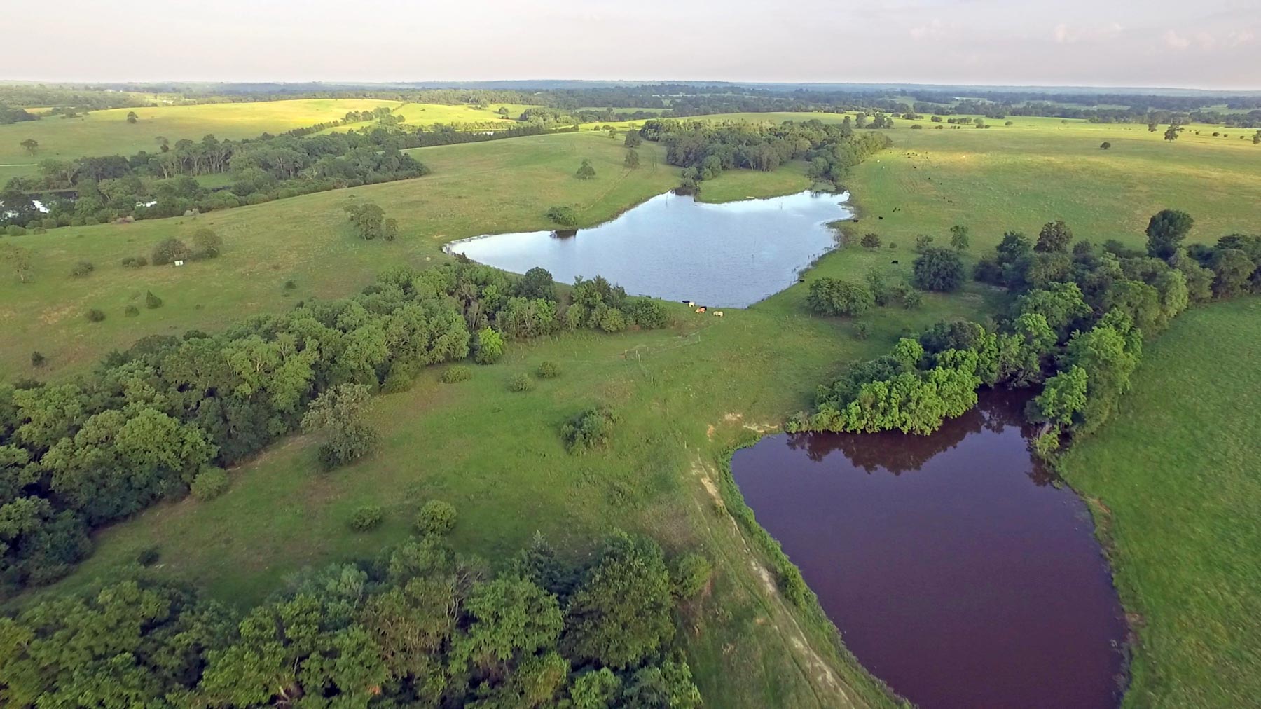 Rainbolt Ranch - Sold - Texas - Hall and Hall