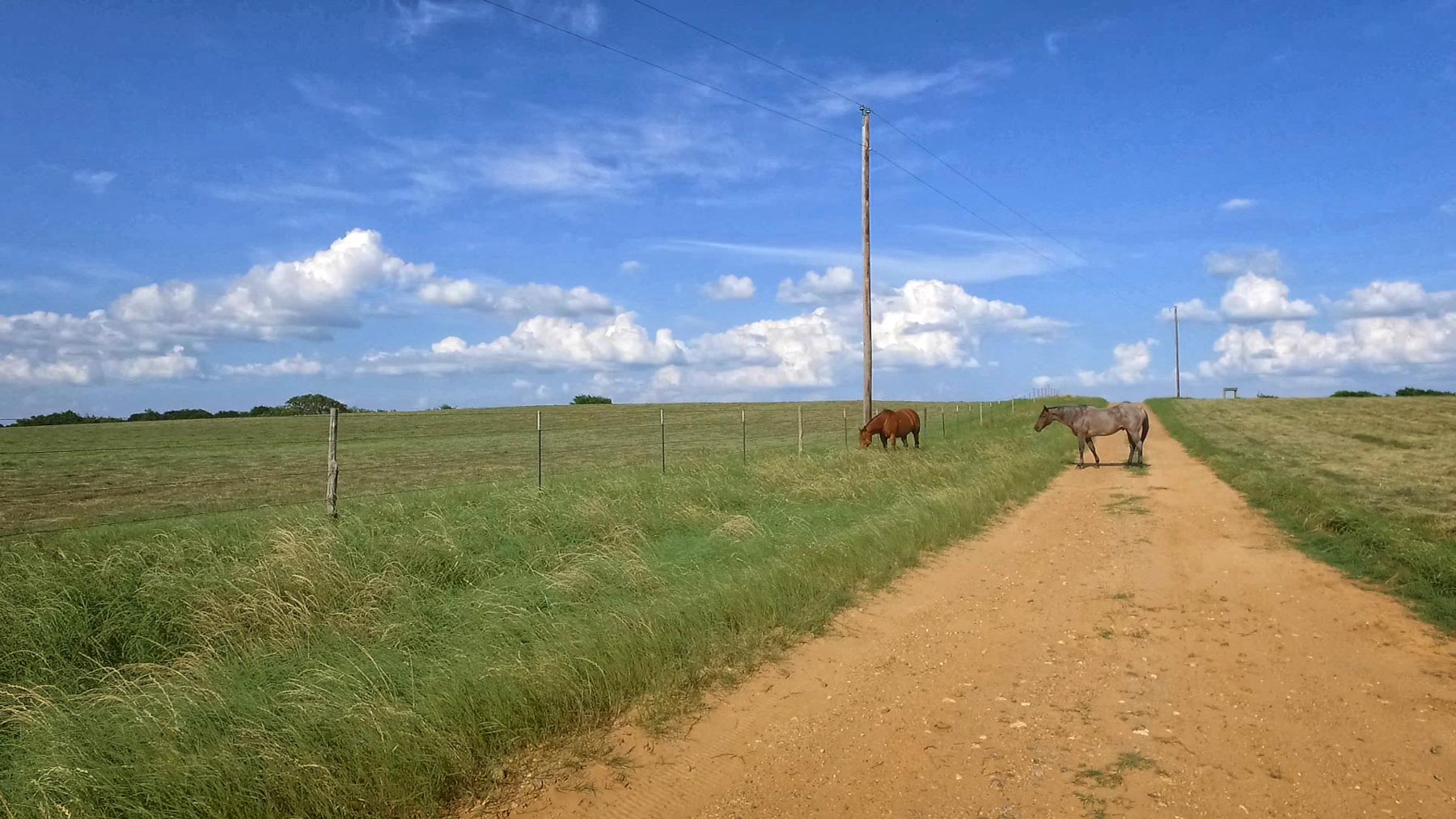Rainbolt Ranch - Sold - Texas - Hall and Hall