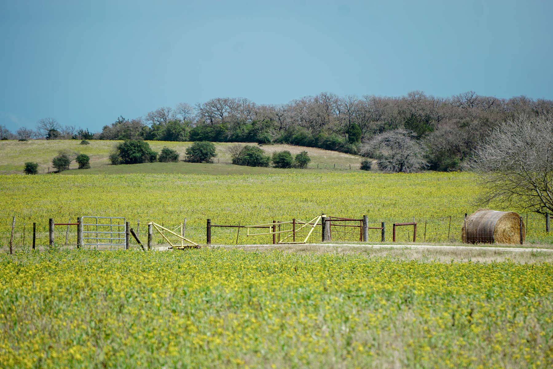 Rainbolt Ranch - Sold - Texas - Hall and Hall