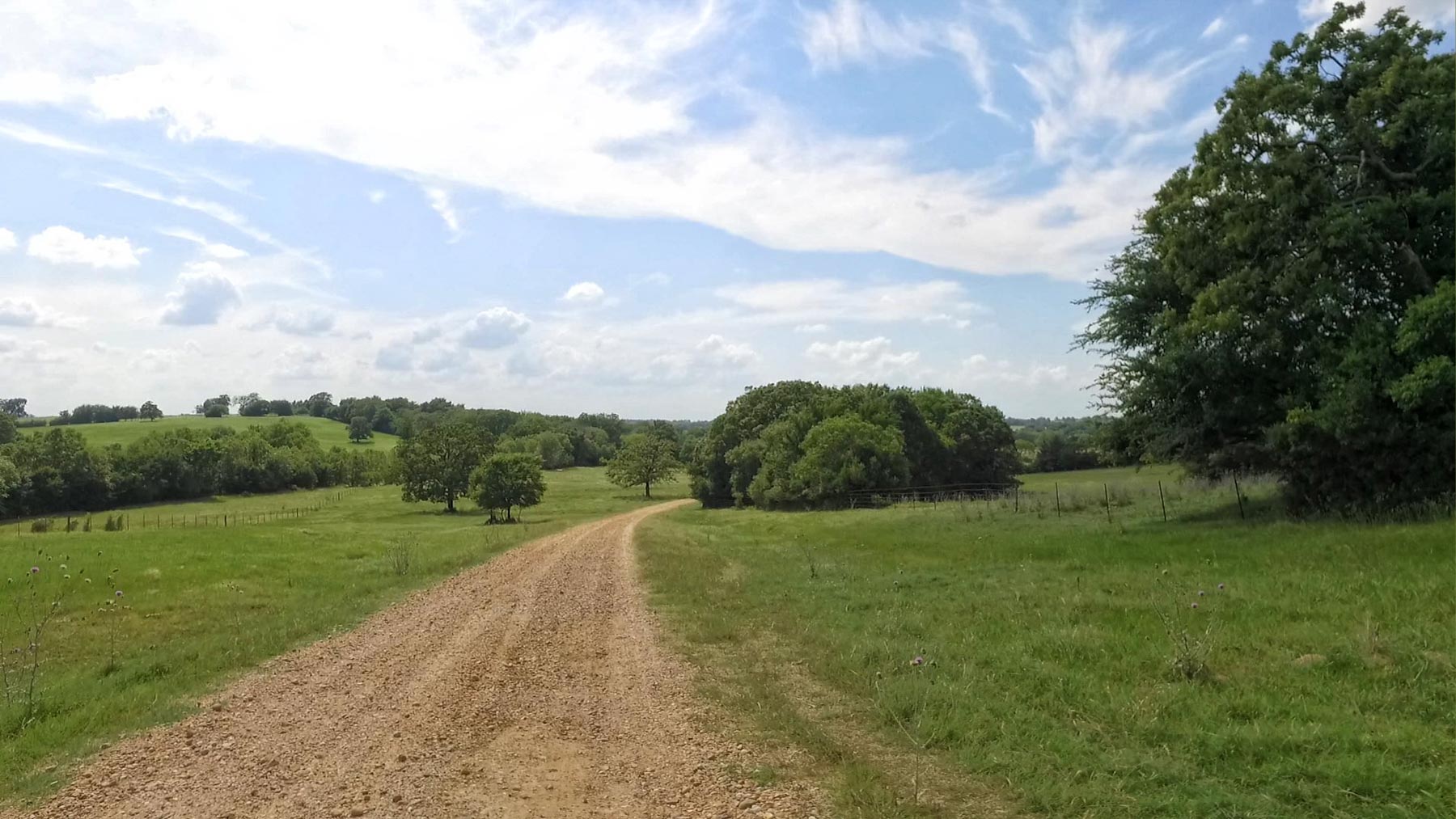 Rainbolt Ranch - Sold - Texas - Hall and Hall