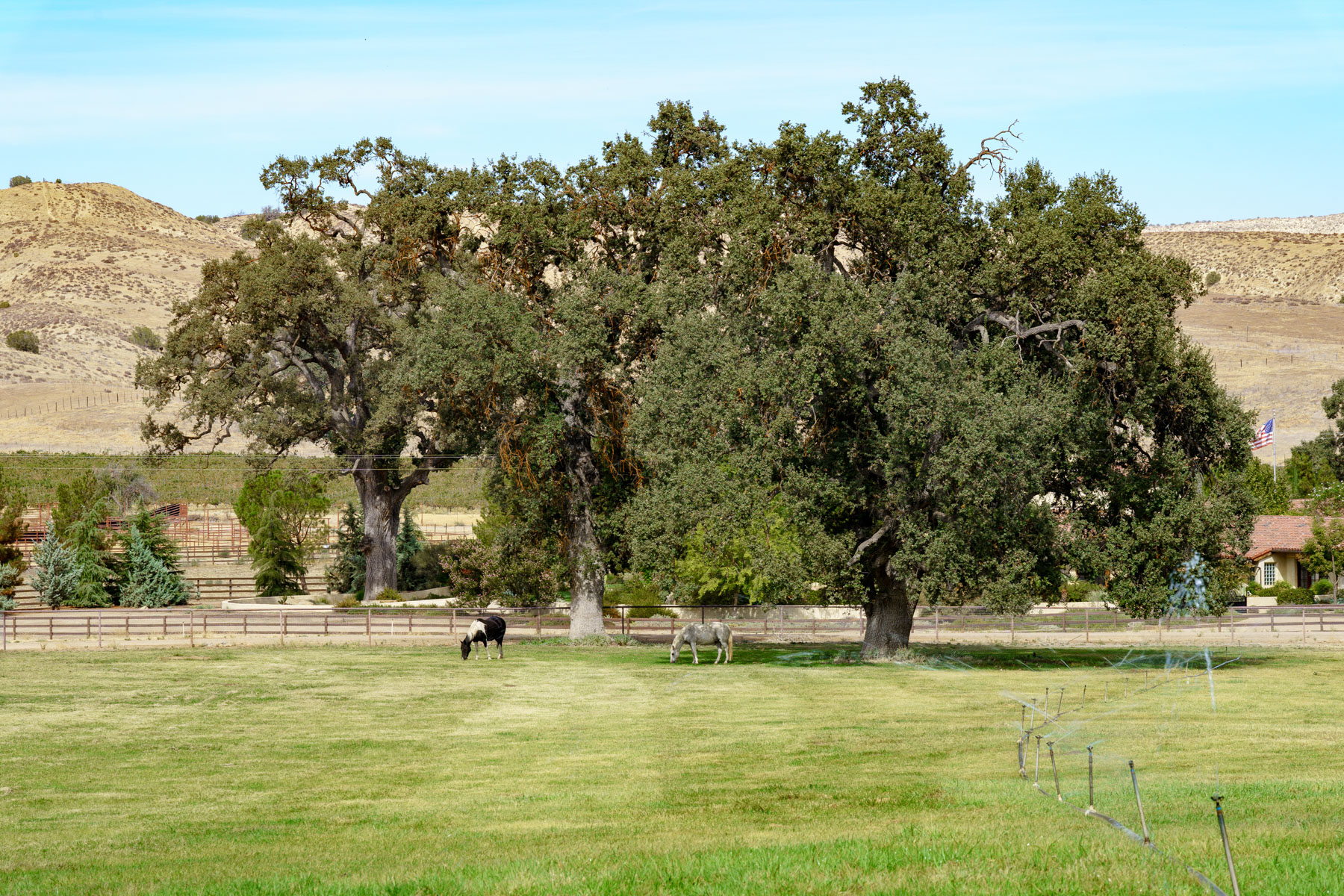 La Panza Ranch - Past Auction - California - Hall and Hall