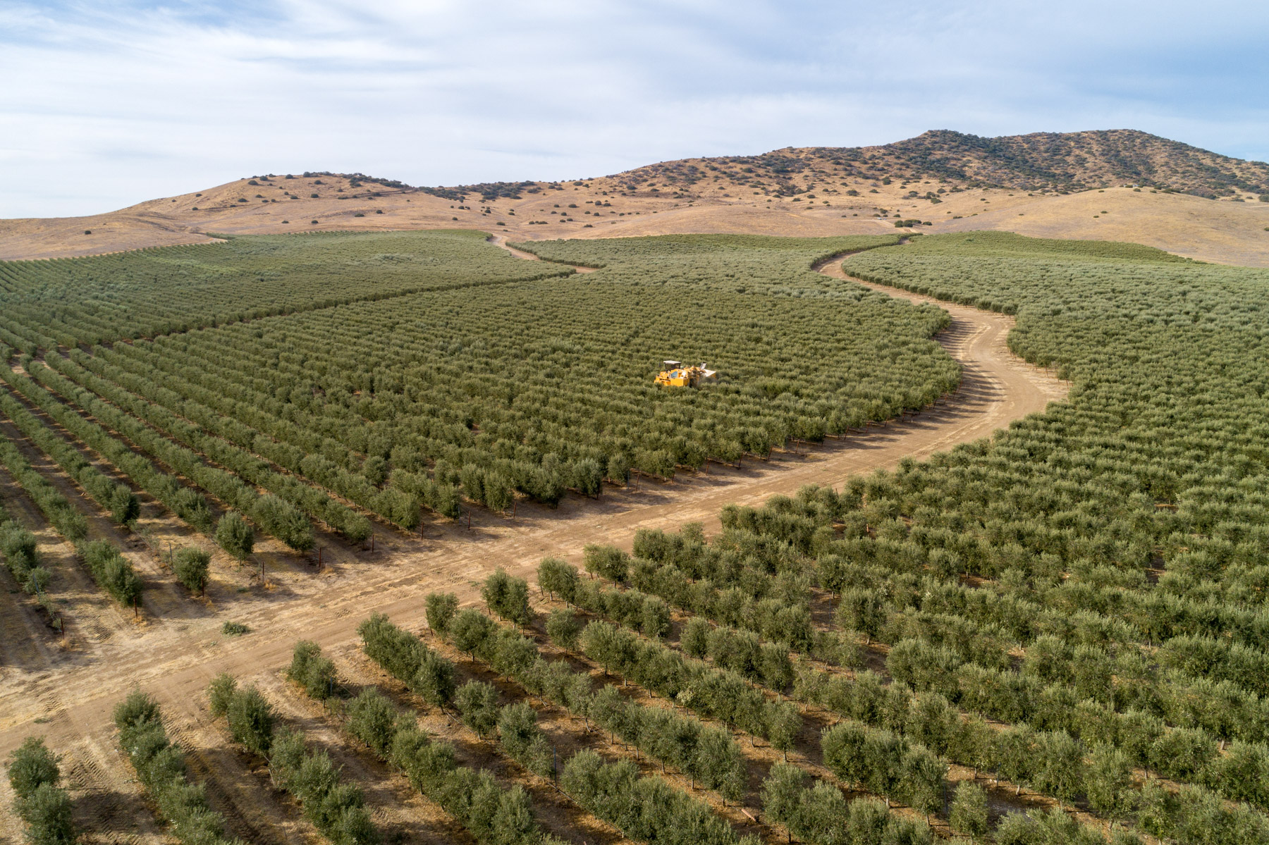 La Panza Ranch - Past Auction - California - Hall and Hall