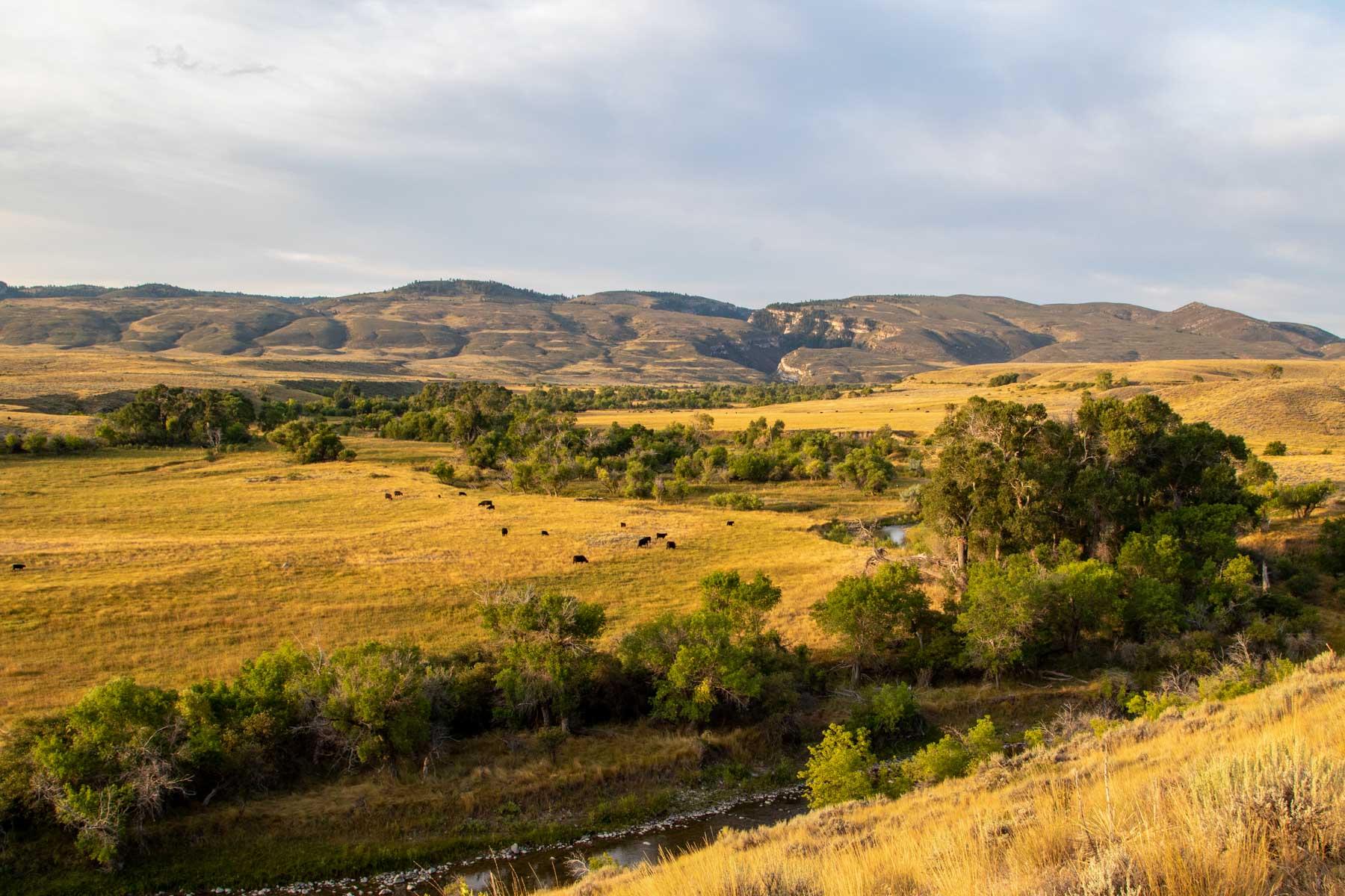 Bixby Ranch - Sold - Wyoming - Hall and Hall
