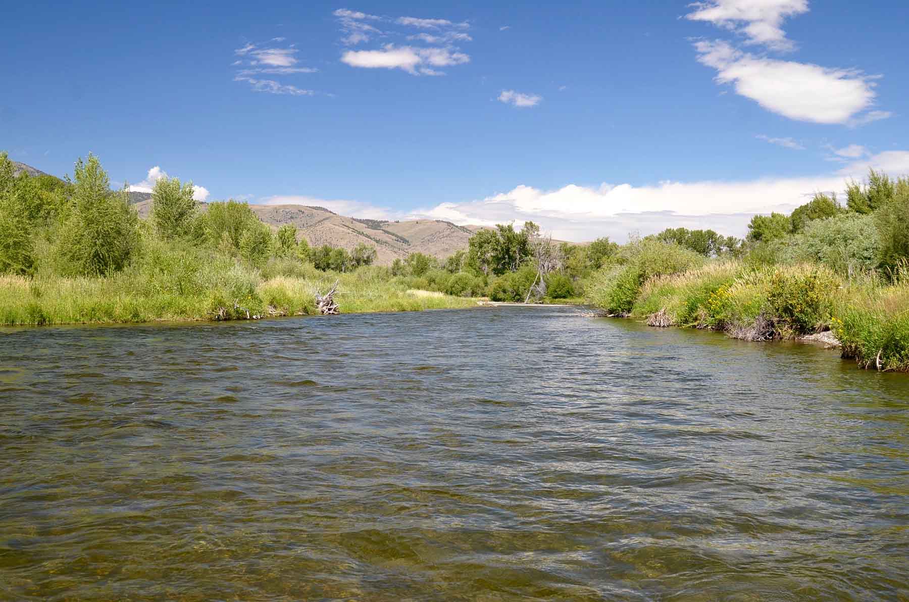 Big Lost River Sanctuary - Sold - Idaho - Hall and Hall