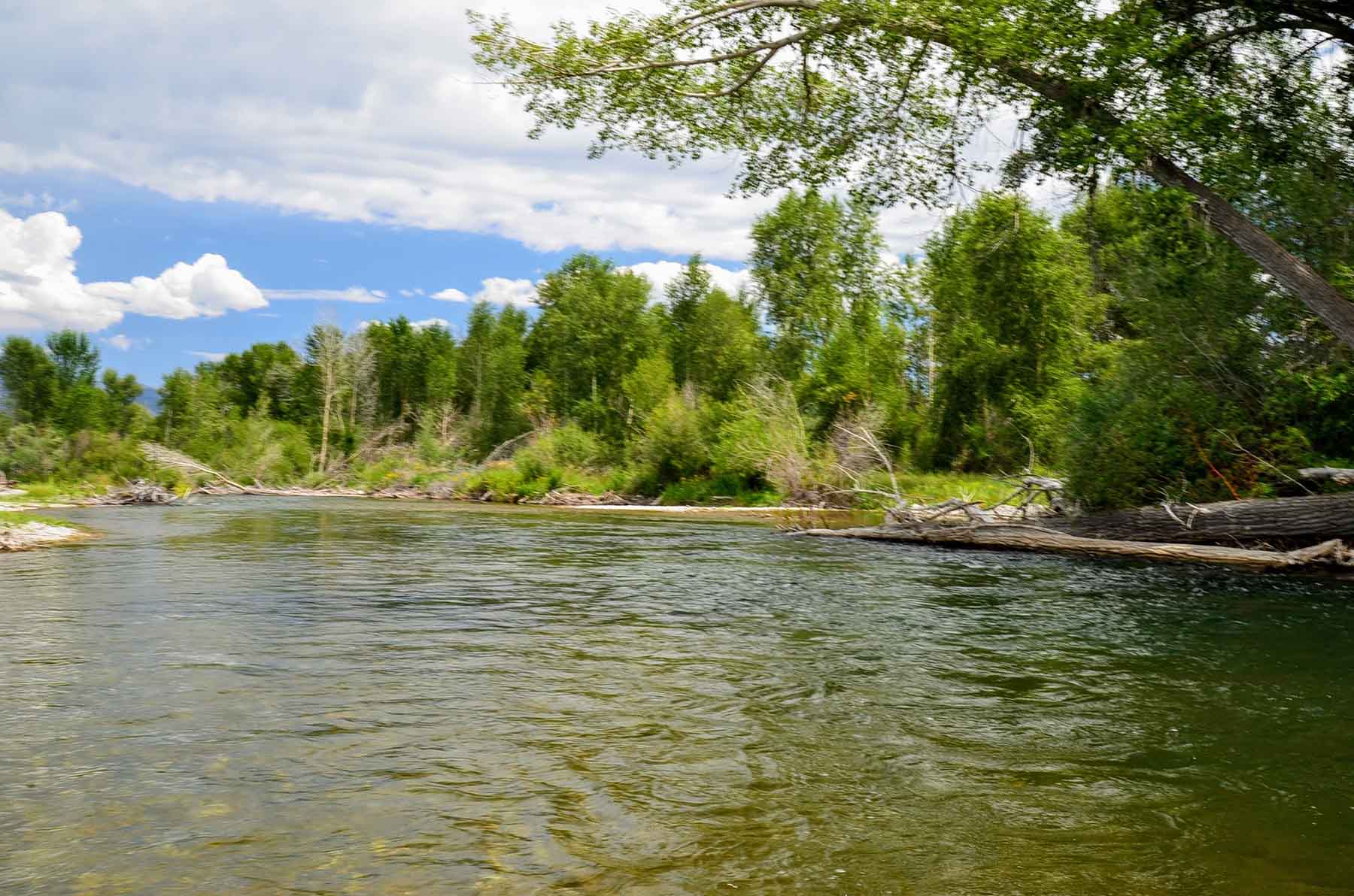 Big Lost River Sanctuary - Sold - Idaho - Hall and Hall
