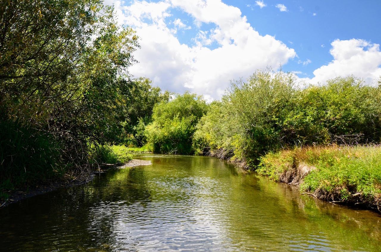 Big Lost River Sanctuary - Sold - Idaho - Hall and Hall