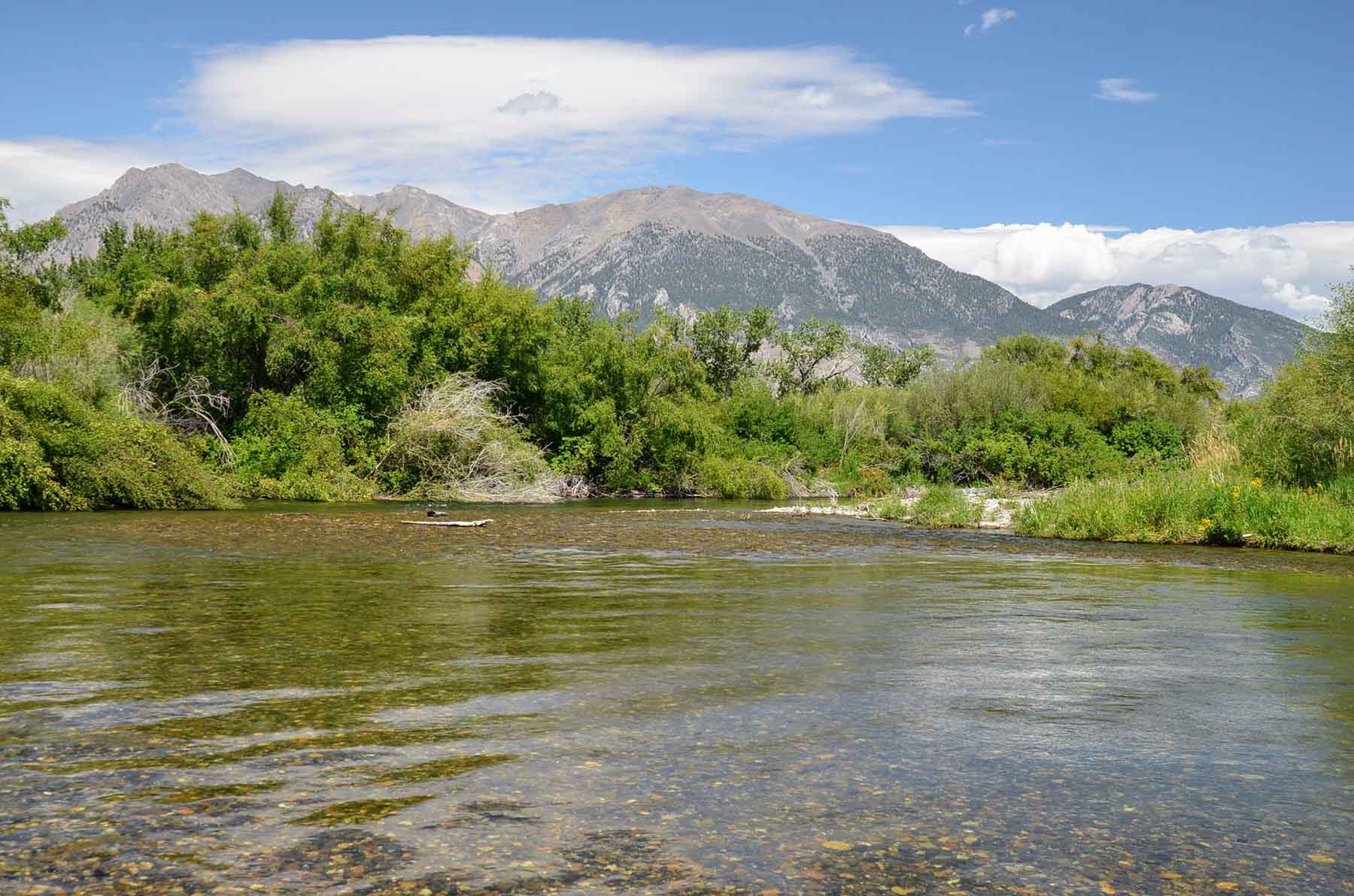 Big Lost River Sanctuary - Sold - Idaho - Hall and Hall