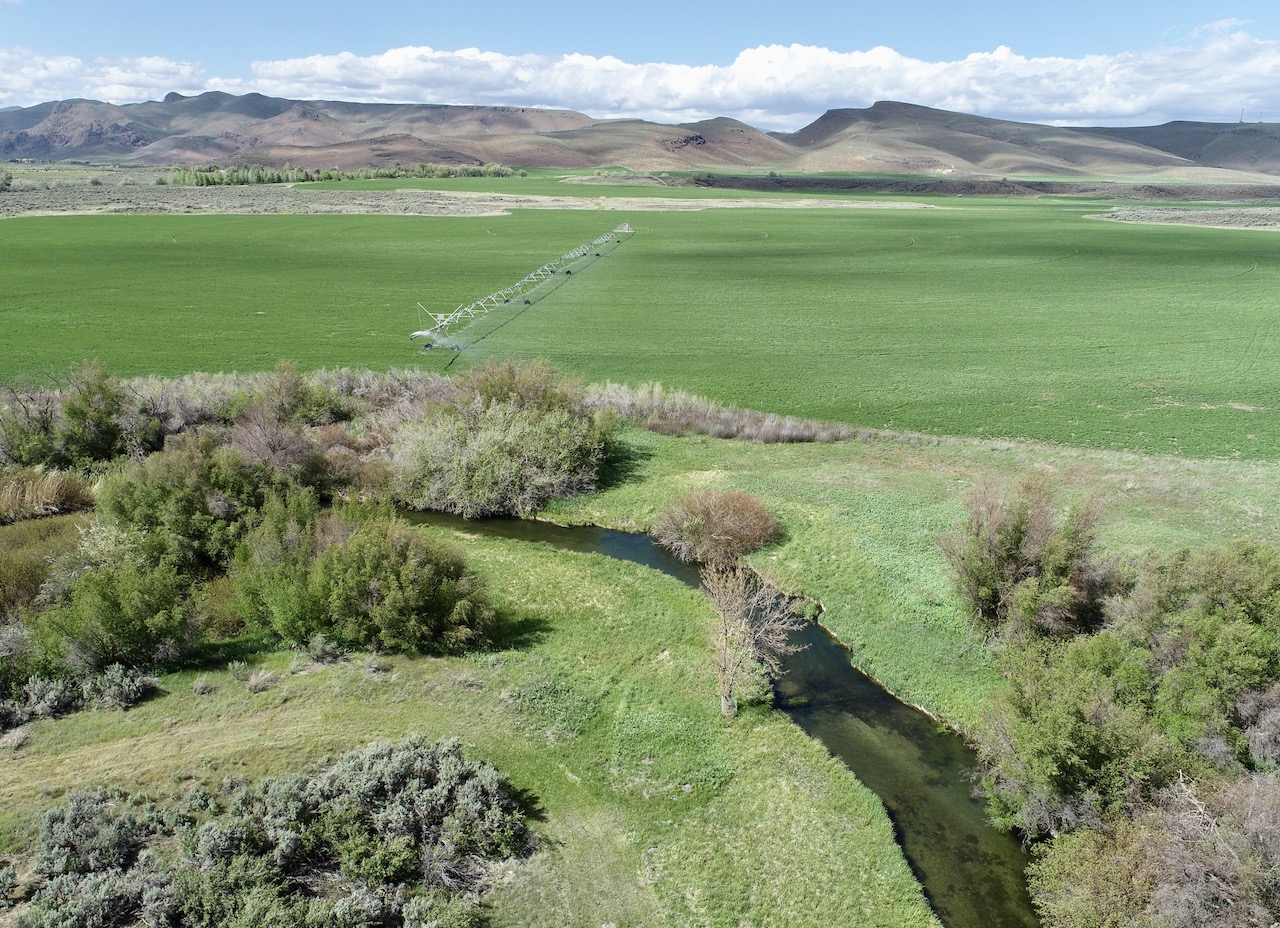 Renegade Ranch - For Sale - Reduced - Idaho - Hall and Hall