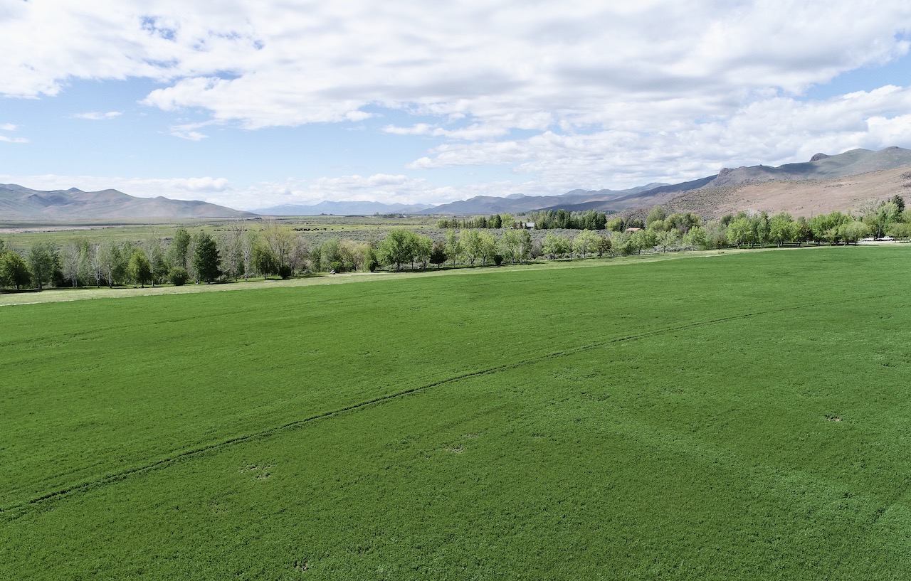 Renegade Ranch - For Sale - Reduced - Idaho - Hall and Hall