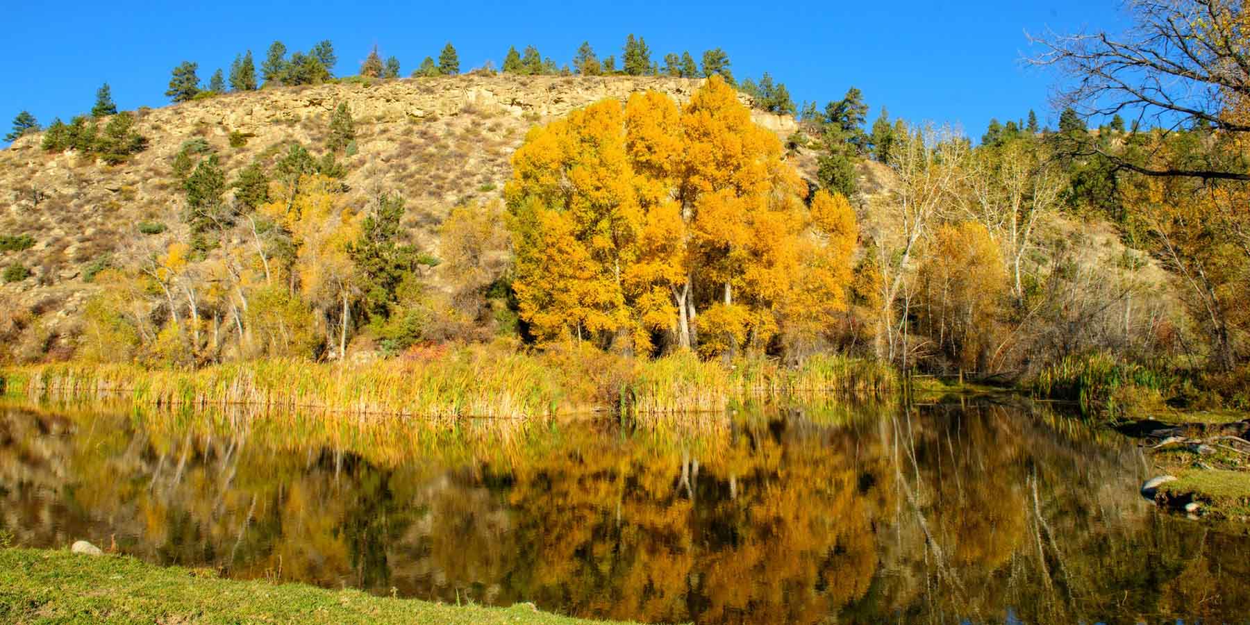 Beartooth Ranch - Sold - Montana - Hall and Hall